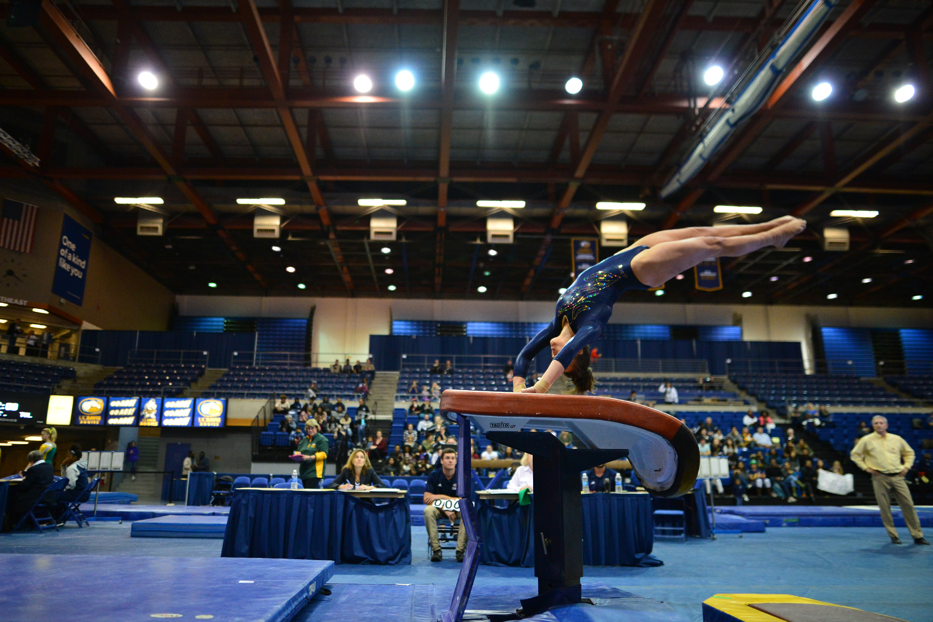 Katy Nogaki - Women's Gymnastics - UC Davis Athletics
