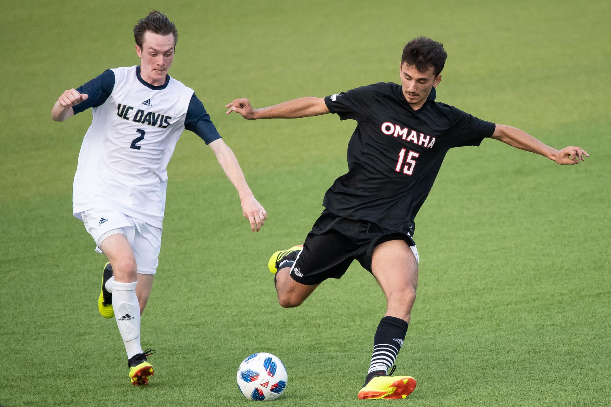 Adam Mickelson - Men's Soccer - UC Davis Athletics