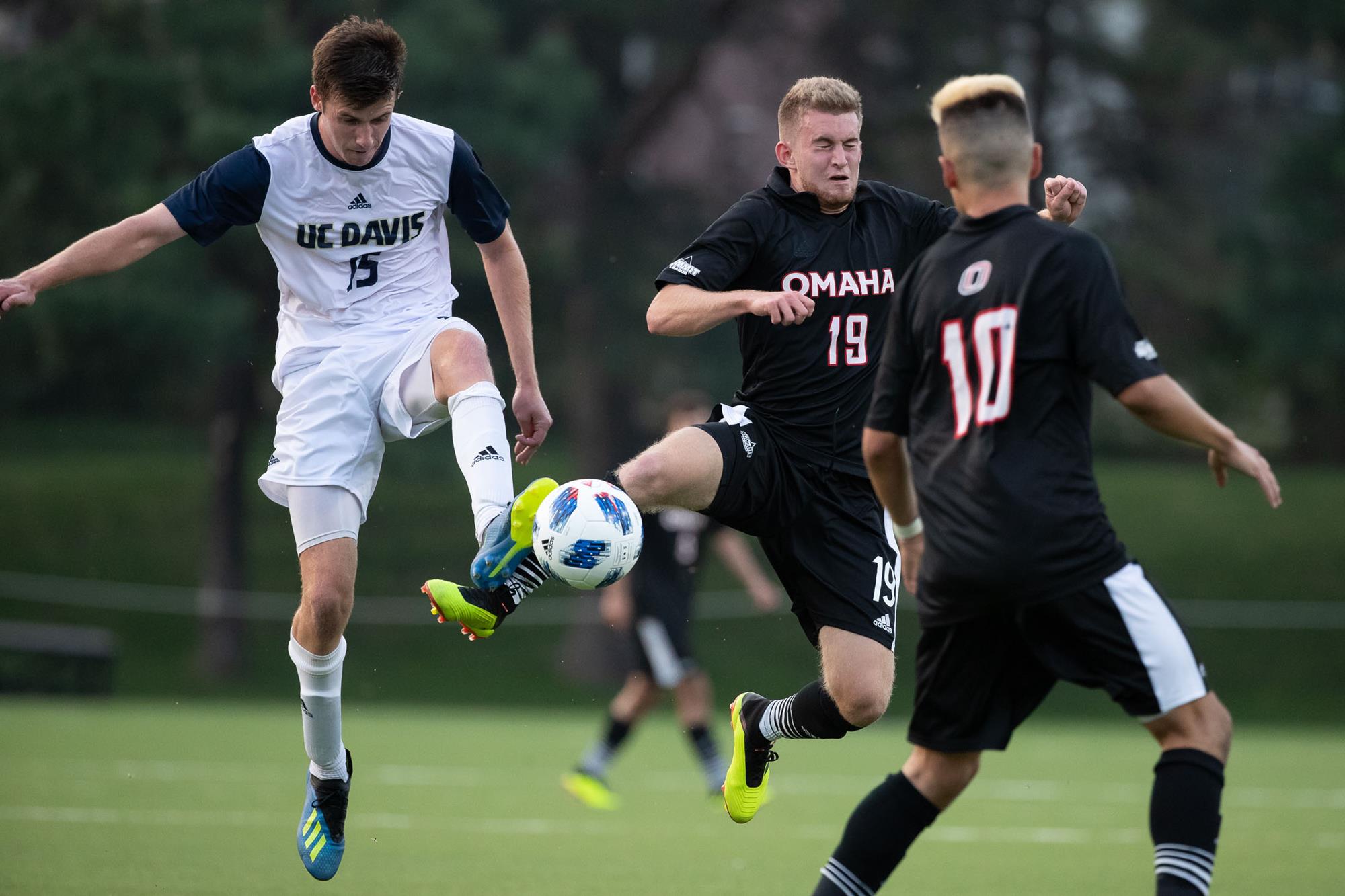 Marte Formico - Men's Soccer - UC Davis Athletics