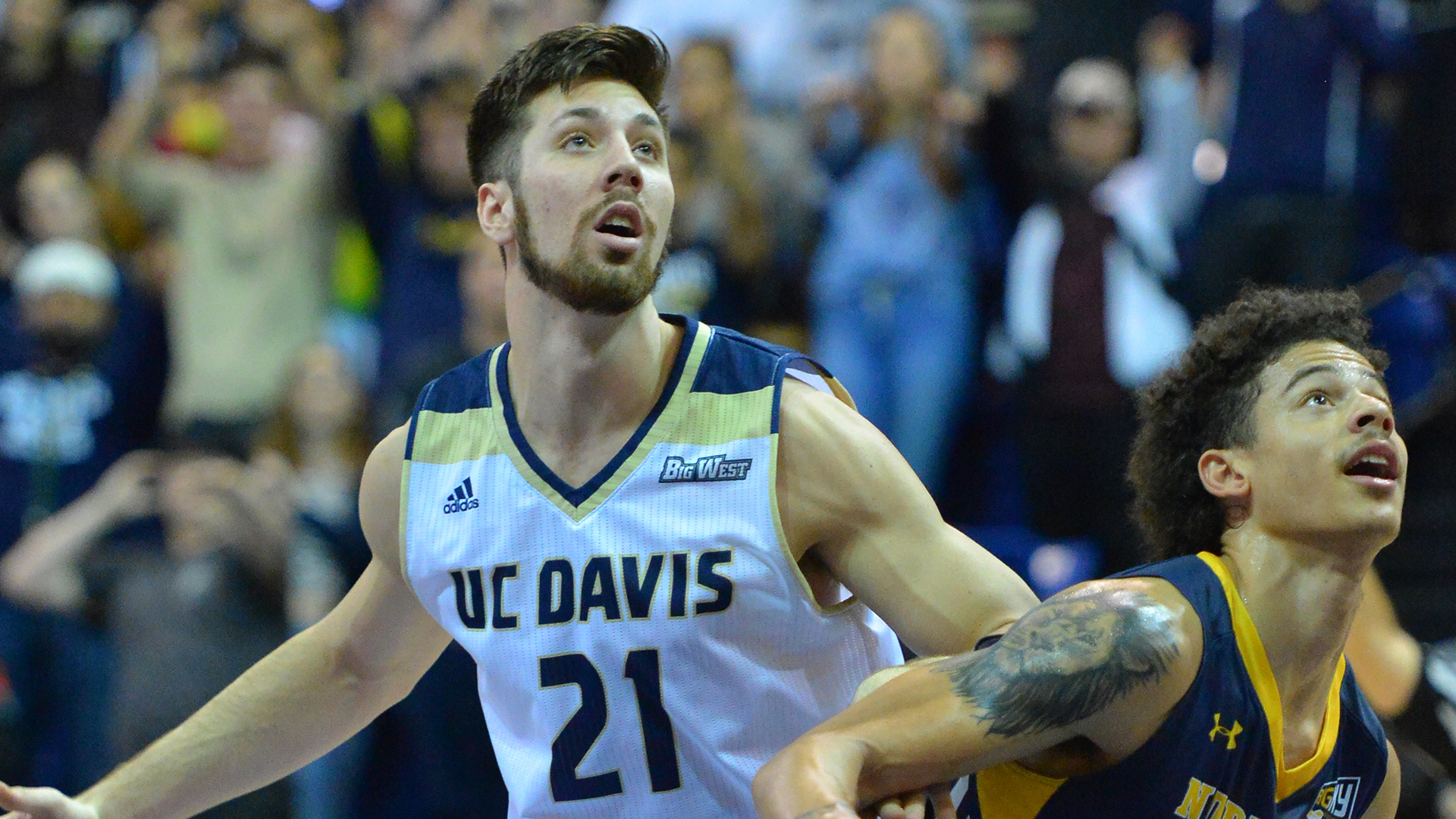 Colin Russell - Men's Basketball - UC Davis Athletics