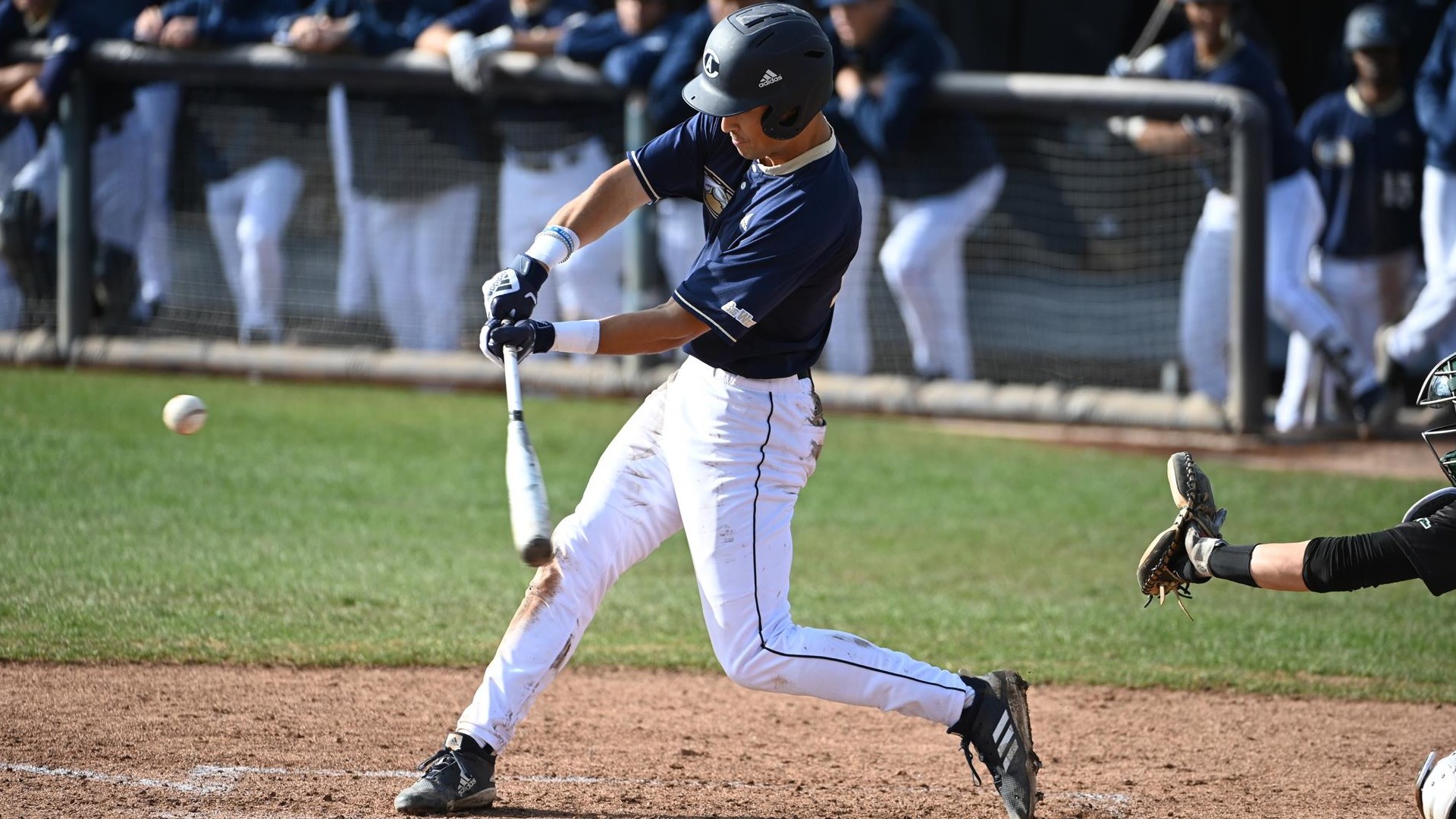 Cooper Morrison - Baseball - UC Davis Athletics