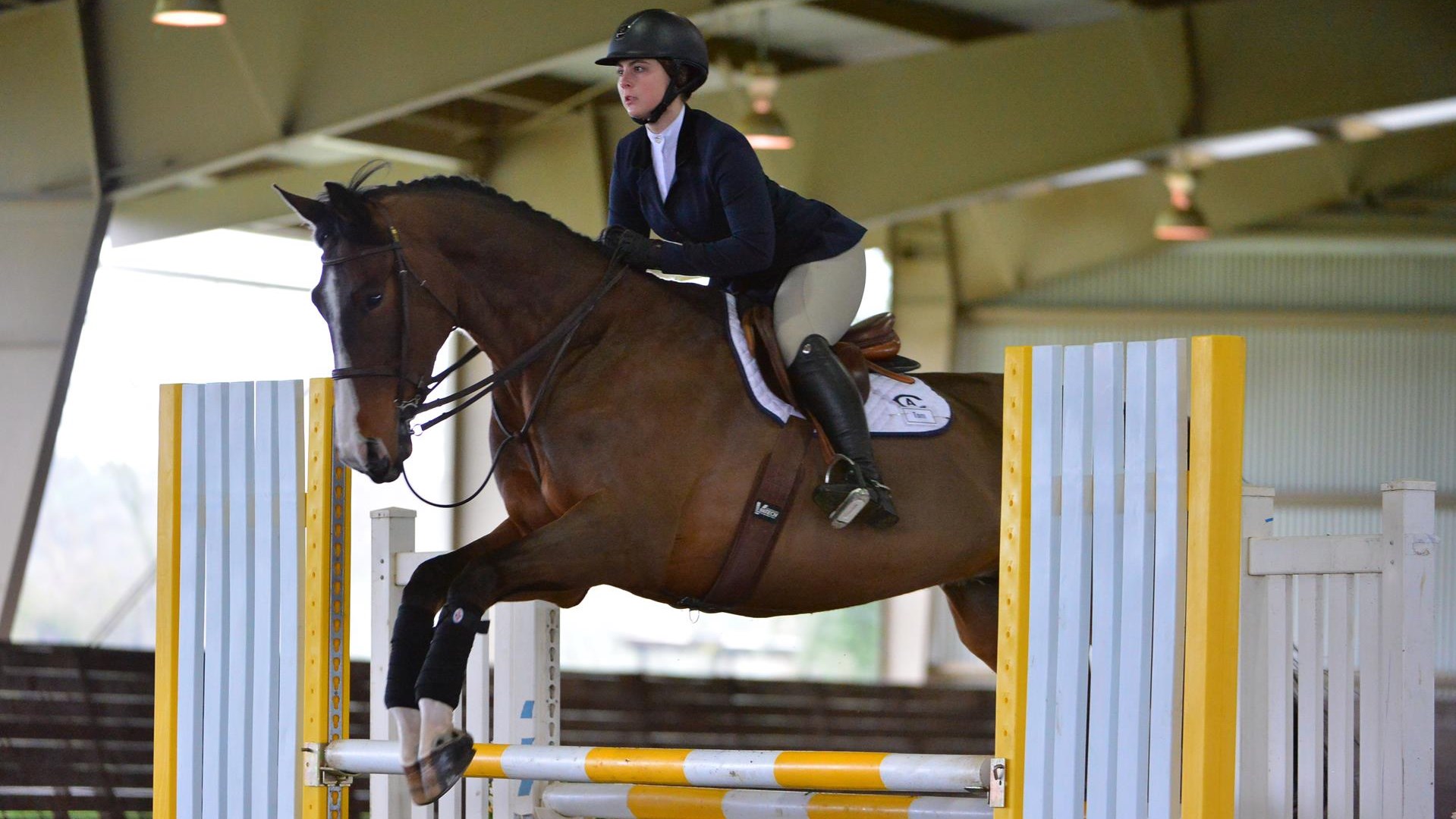 Keely Laughlin - Equestrian - UC Davis Athletics