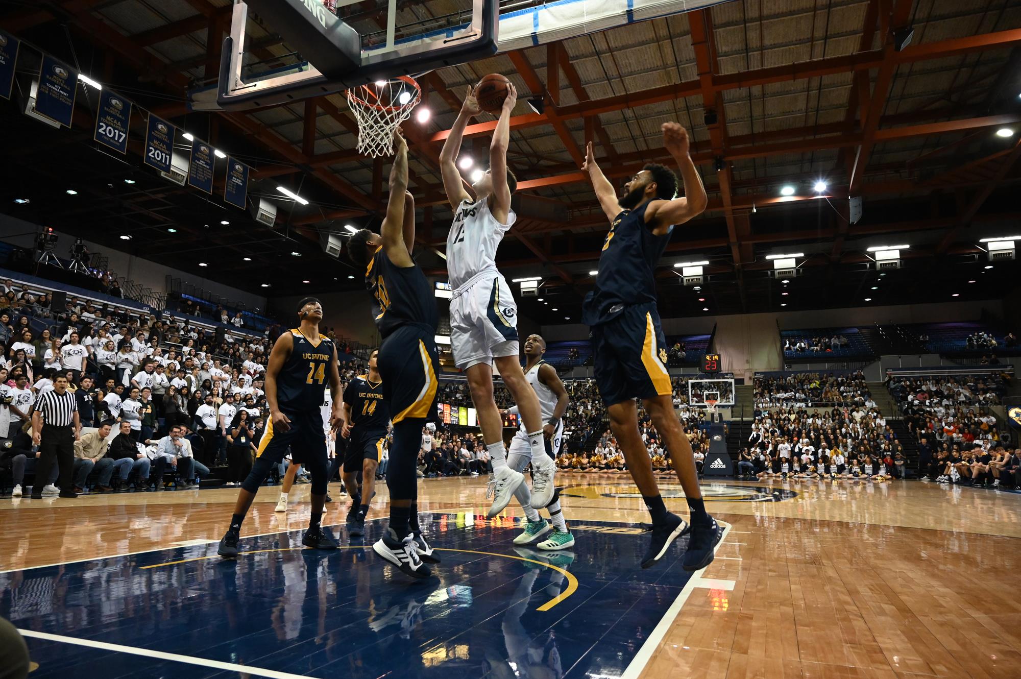 Matt Neufeld - Men's Basketball - UC Davis Athletics