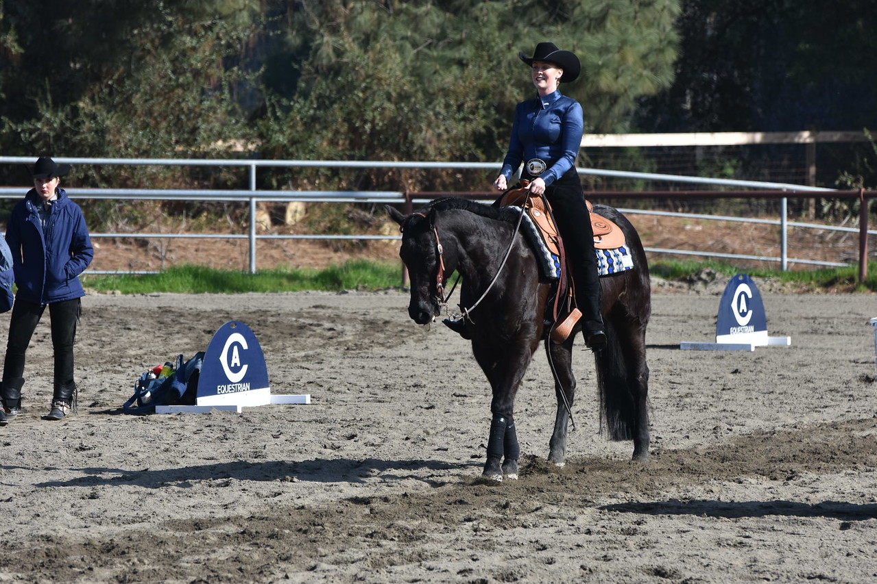 Kayla Hickey - Equestrian - UC Davis Athletics