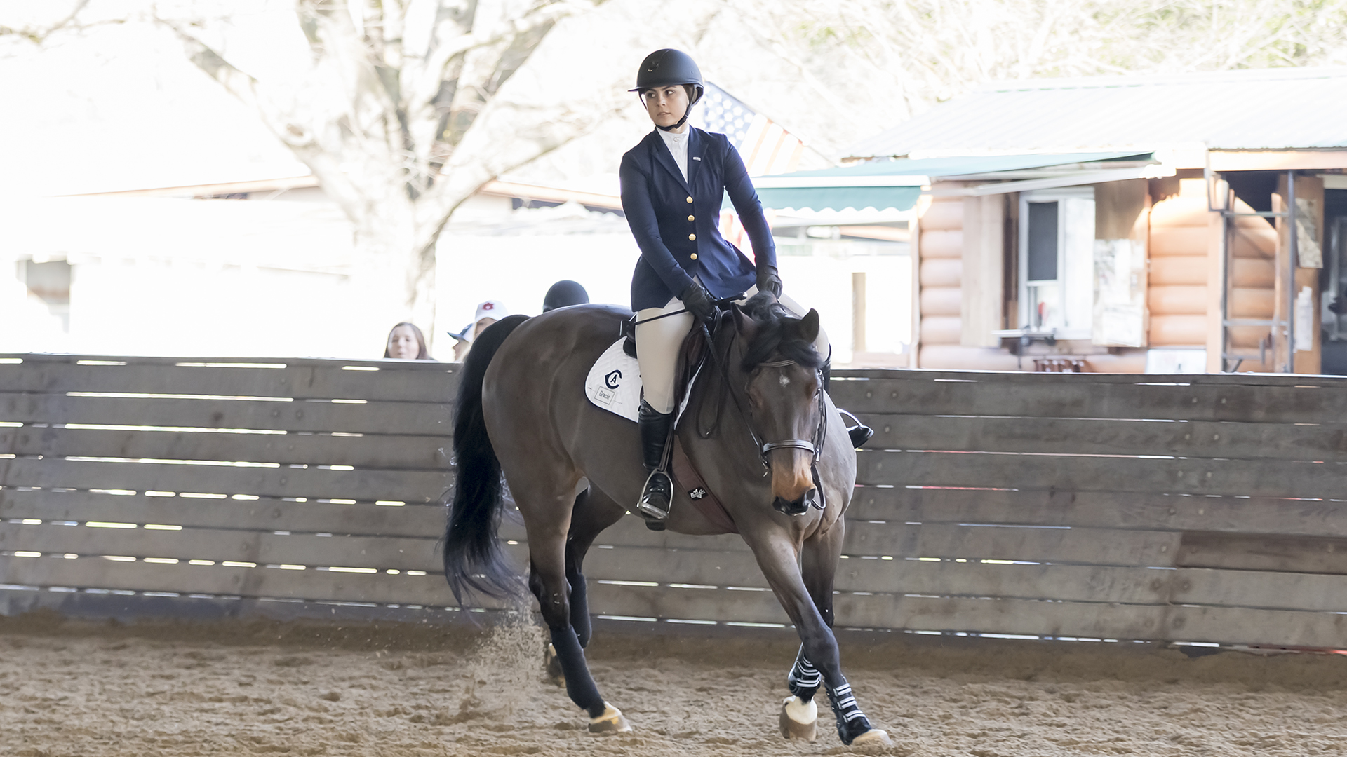Keely Laughlin - Equestrian - UC Davis Athletics