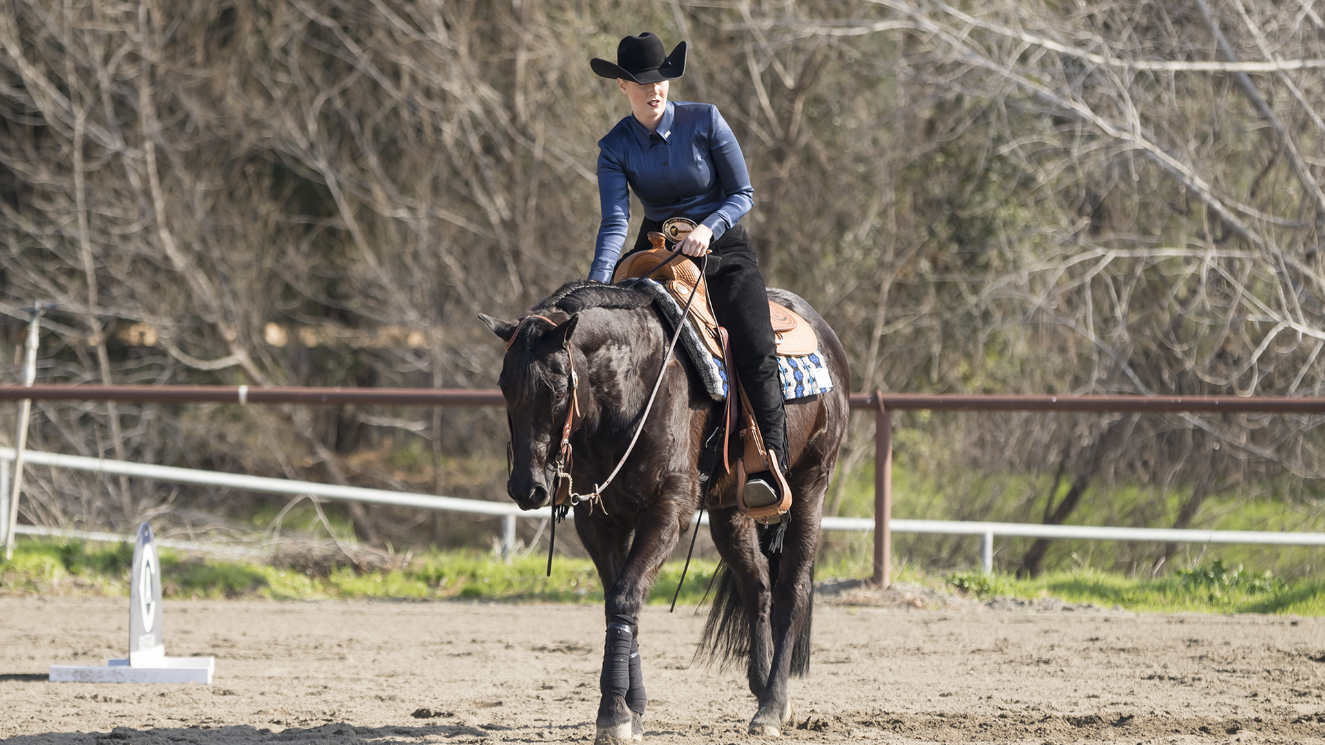 Kayla Hickey - Equestrian - UC Davis Athletics