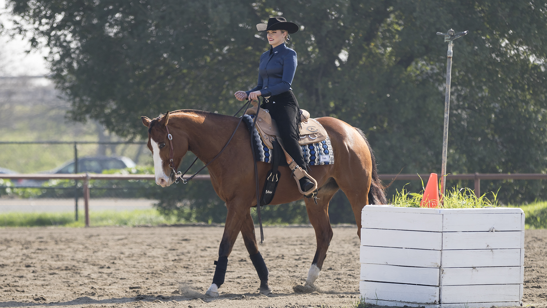 Katie Flinn - Equestrian - UC Davis Athletics