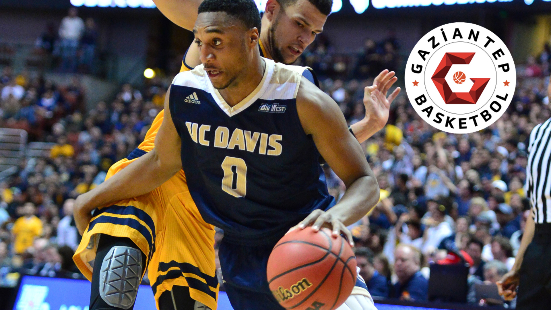 A summer to remember… for the right reasons - UC Davis Athletics