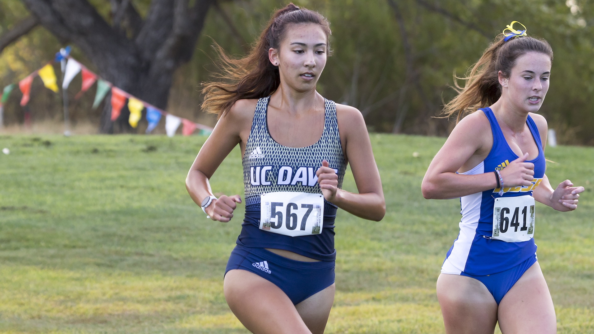 Julia Pearson - Cross Country - UC Davis Athletics