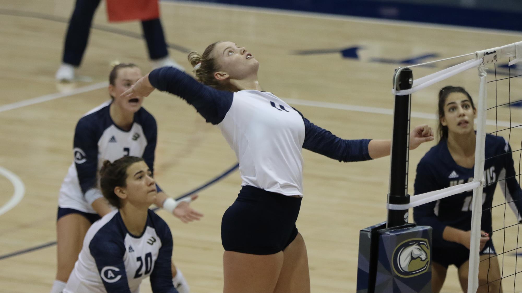 Perri Starkey - Women's Volleyball - UC Davis Athletics