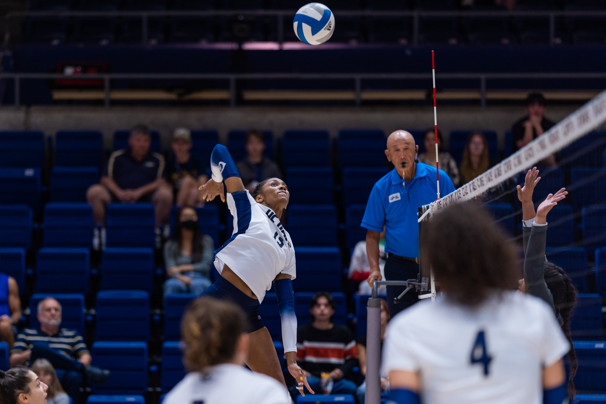 Demari Webb: Killer Queen - UC Davis Athletics