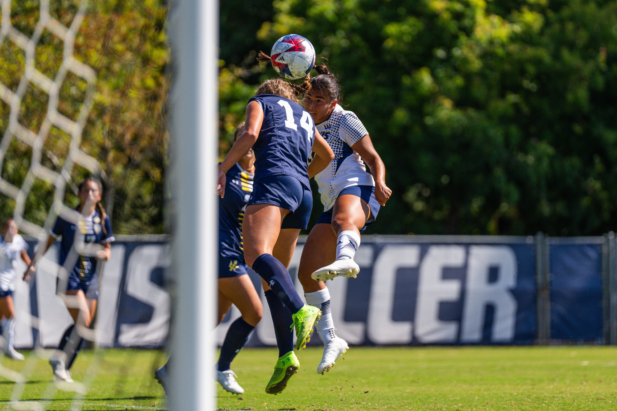 Aggies Narrowly Edged out by Cal State Fullerton - UC Davis Athletics