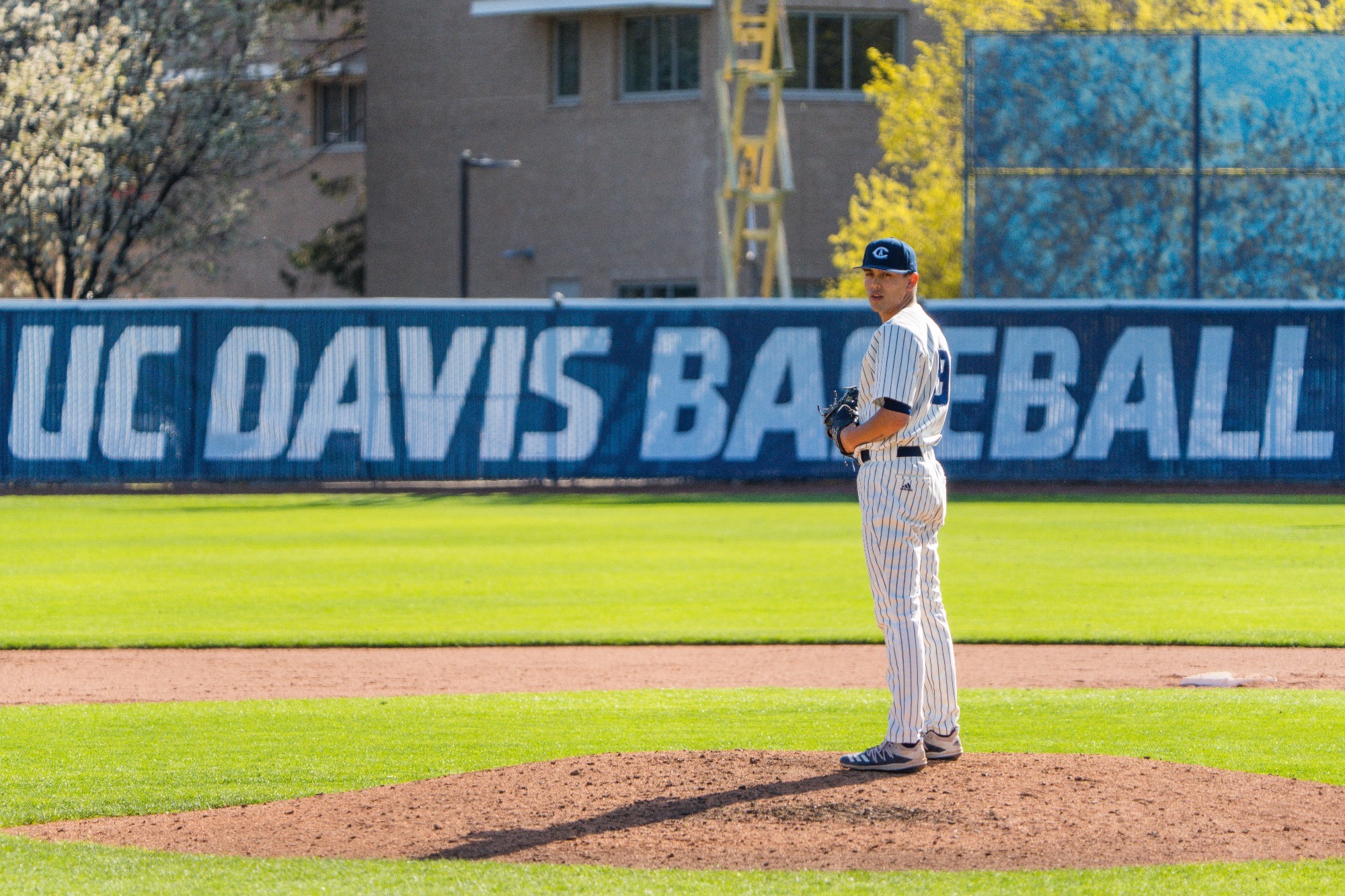 Trevor Allen - Baseball - UC Davis Athletics