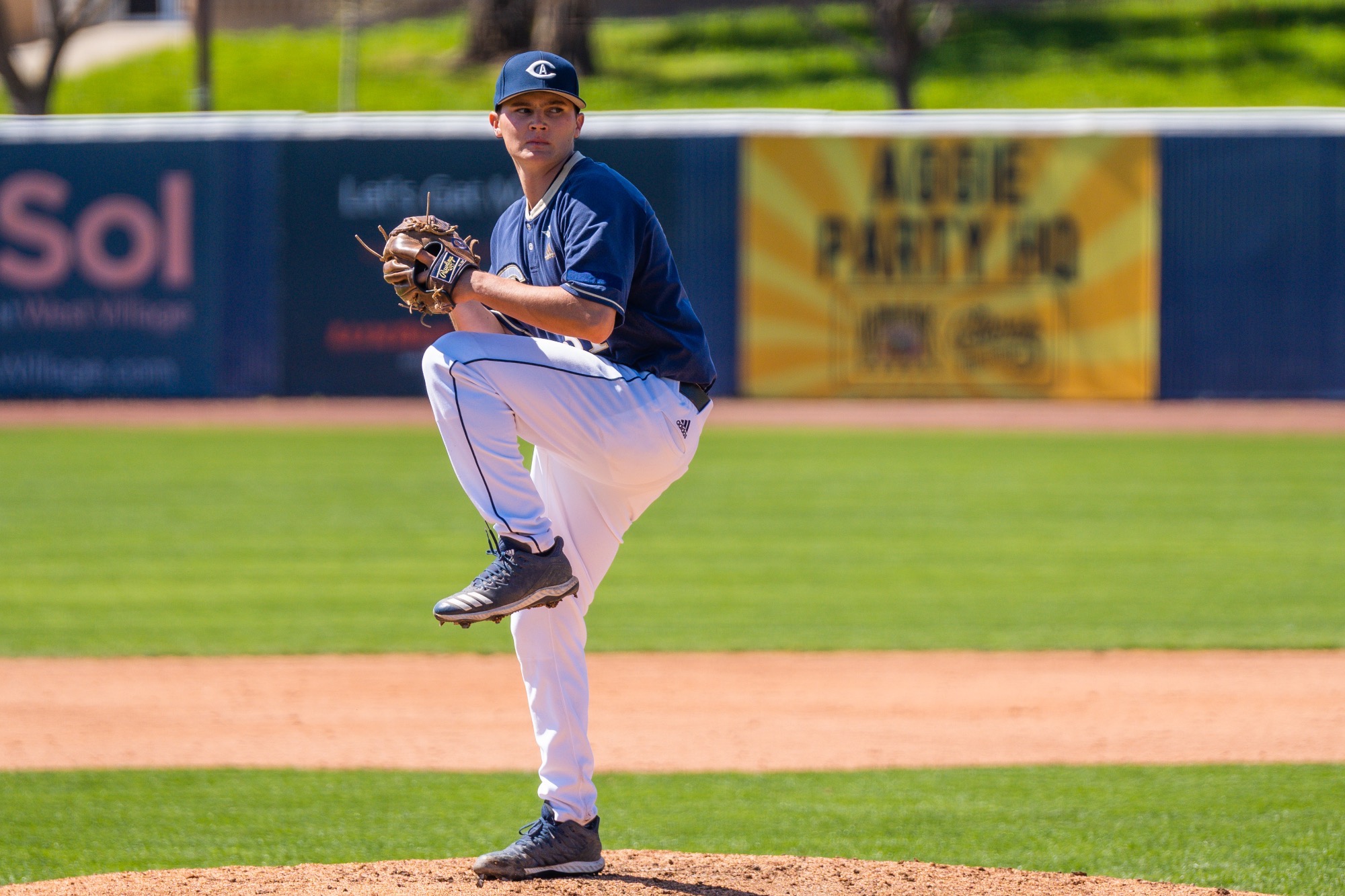 Ian Torpey - Baseball - UC Davis Athletics