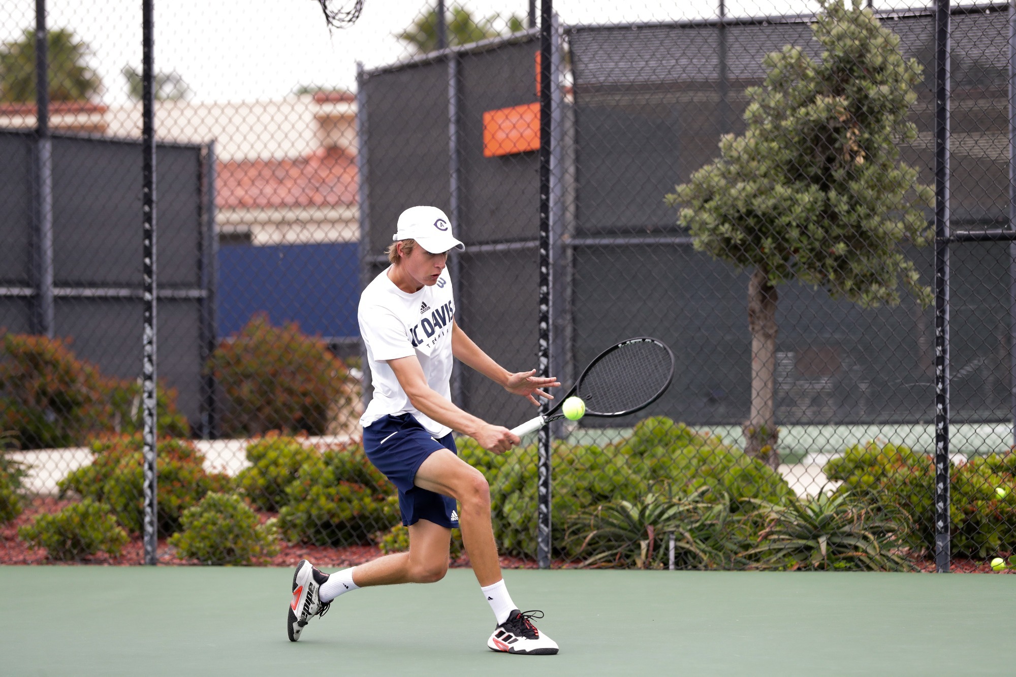 Aggies Handle Highlanders, Advance to Semifinal - UC Davis Athletics