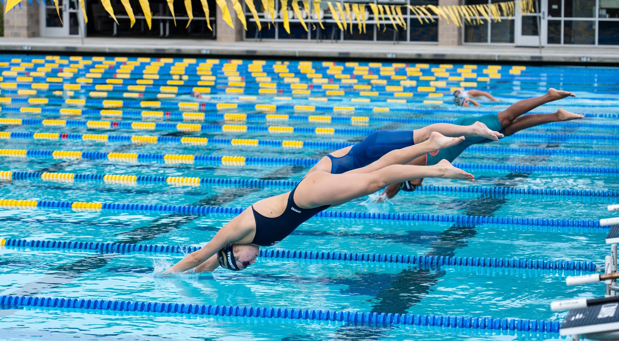 Macedo named as Aggie swim & dive head coach - UC Davis Athletics