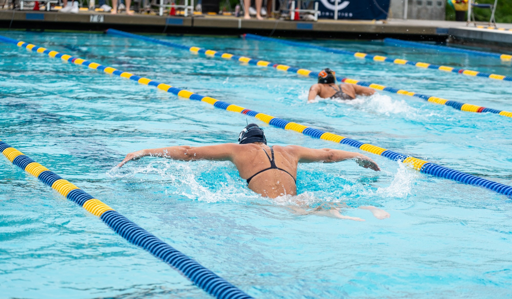 Macedo named as Aggie swim & dive head coach - UC Davis Athletics