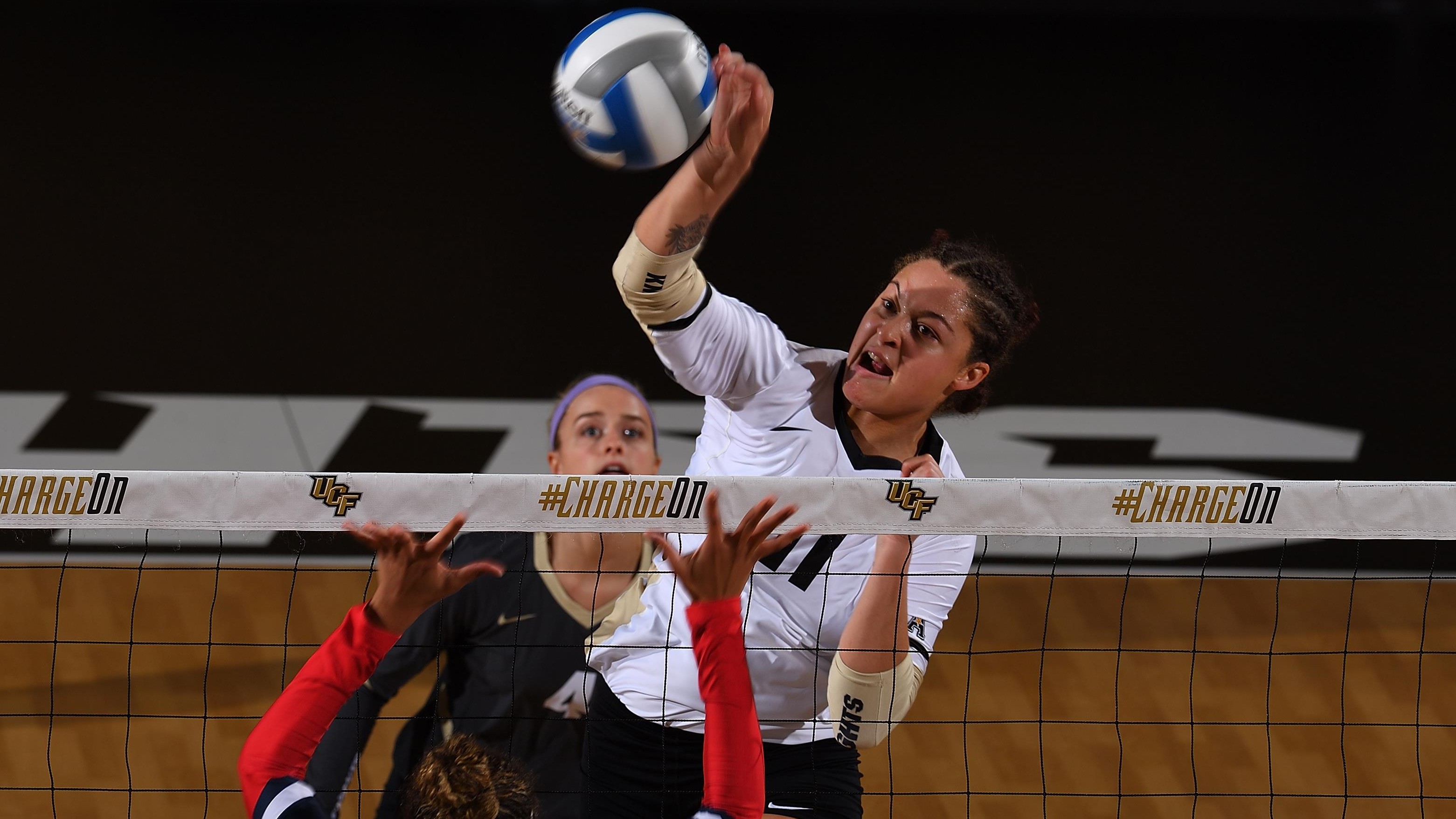 Jeanne Westney Volleyball Clipart