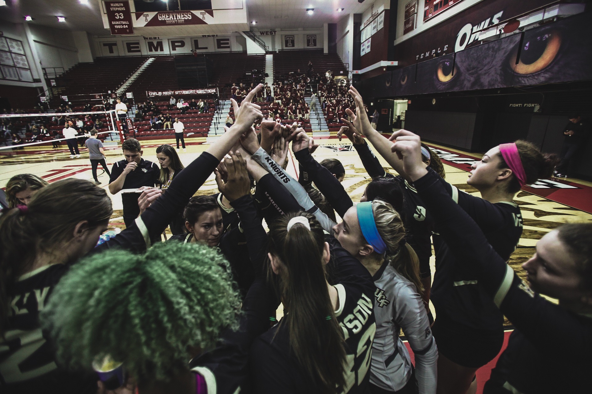 Jeanne Westney Volleyball Clipart