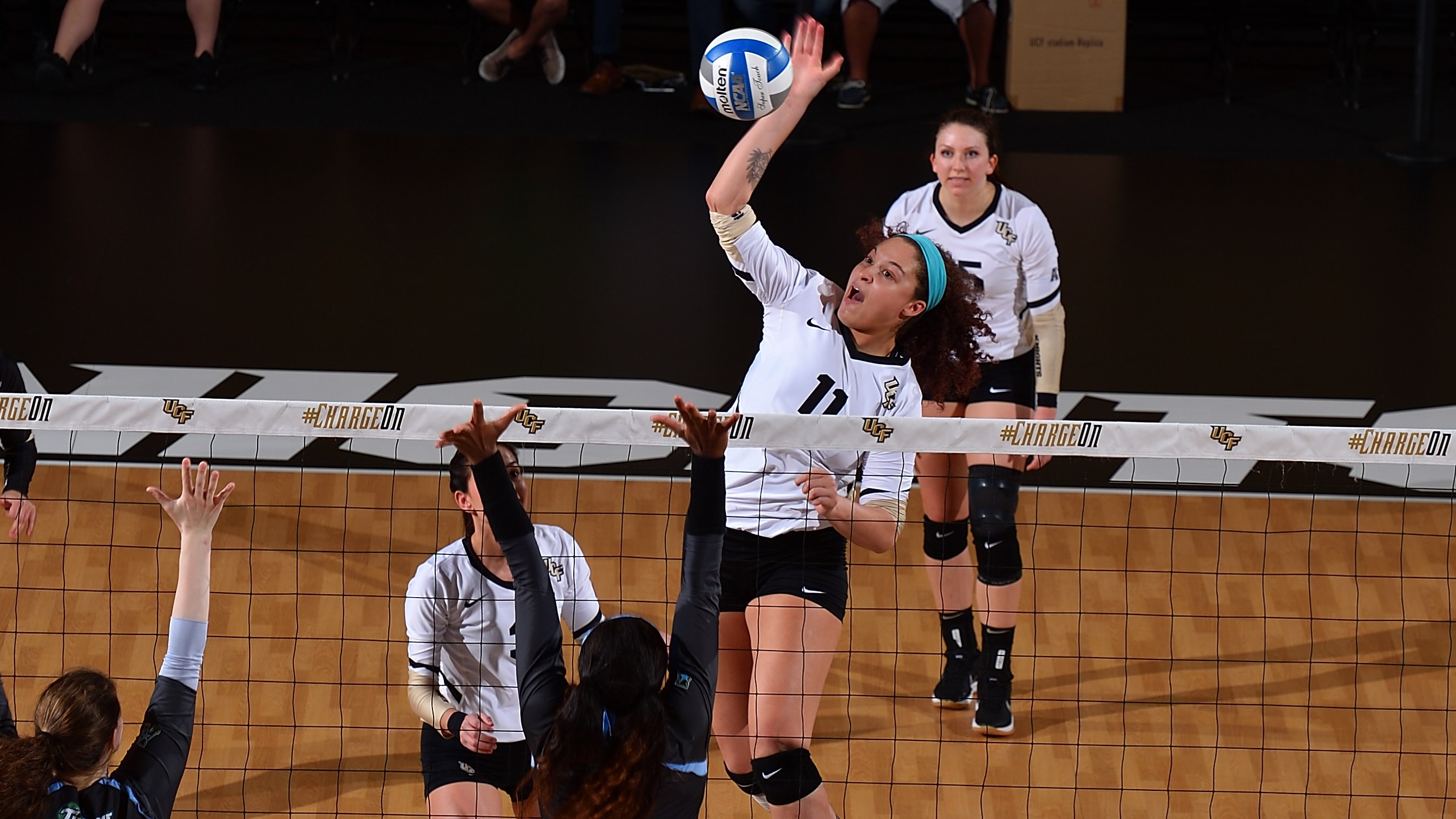 Jeanne Westney Volleyball Clipart