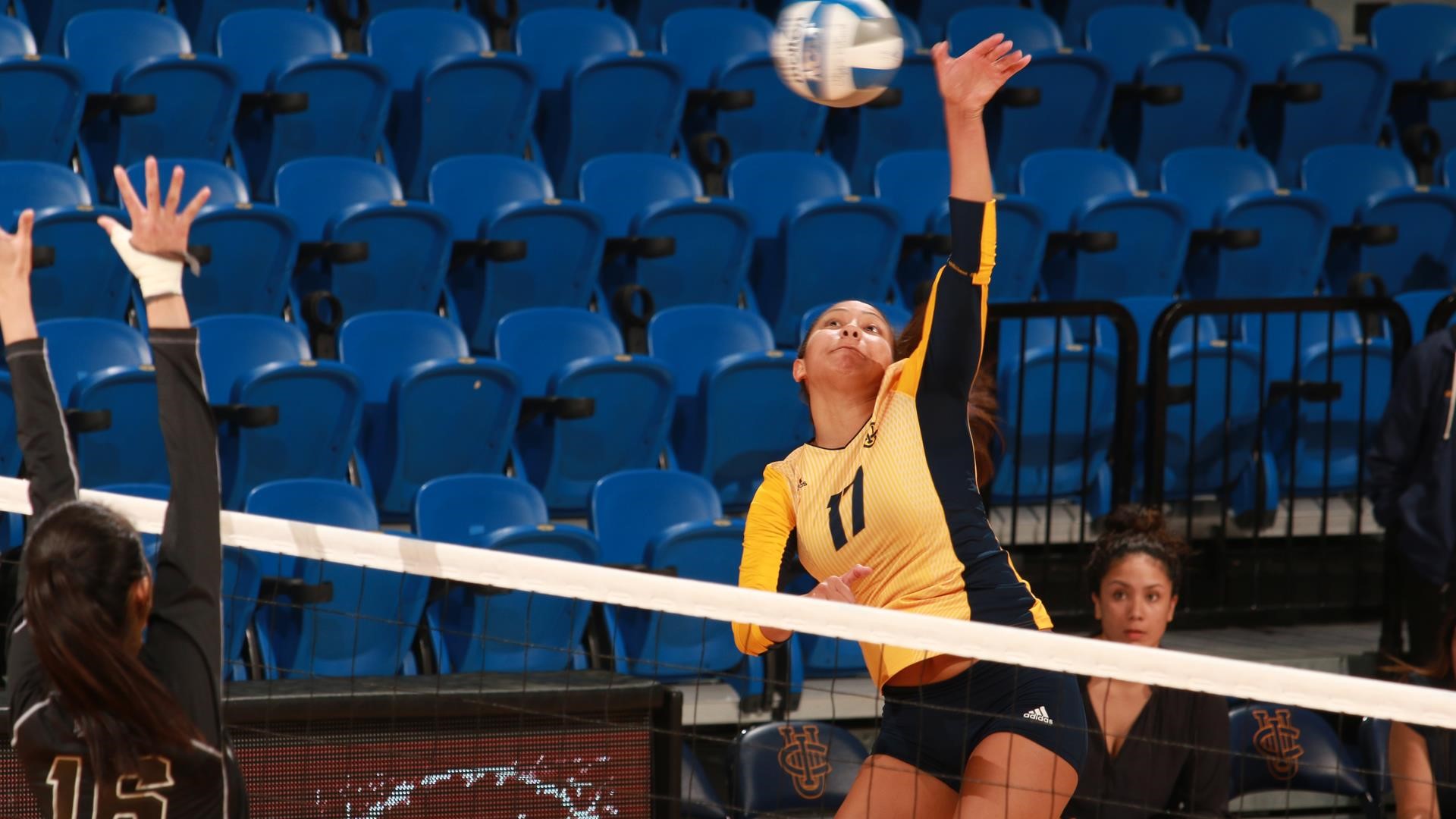 Harlee Kekauoha - Women's Volleyball - UCI Athletics