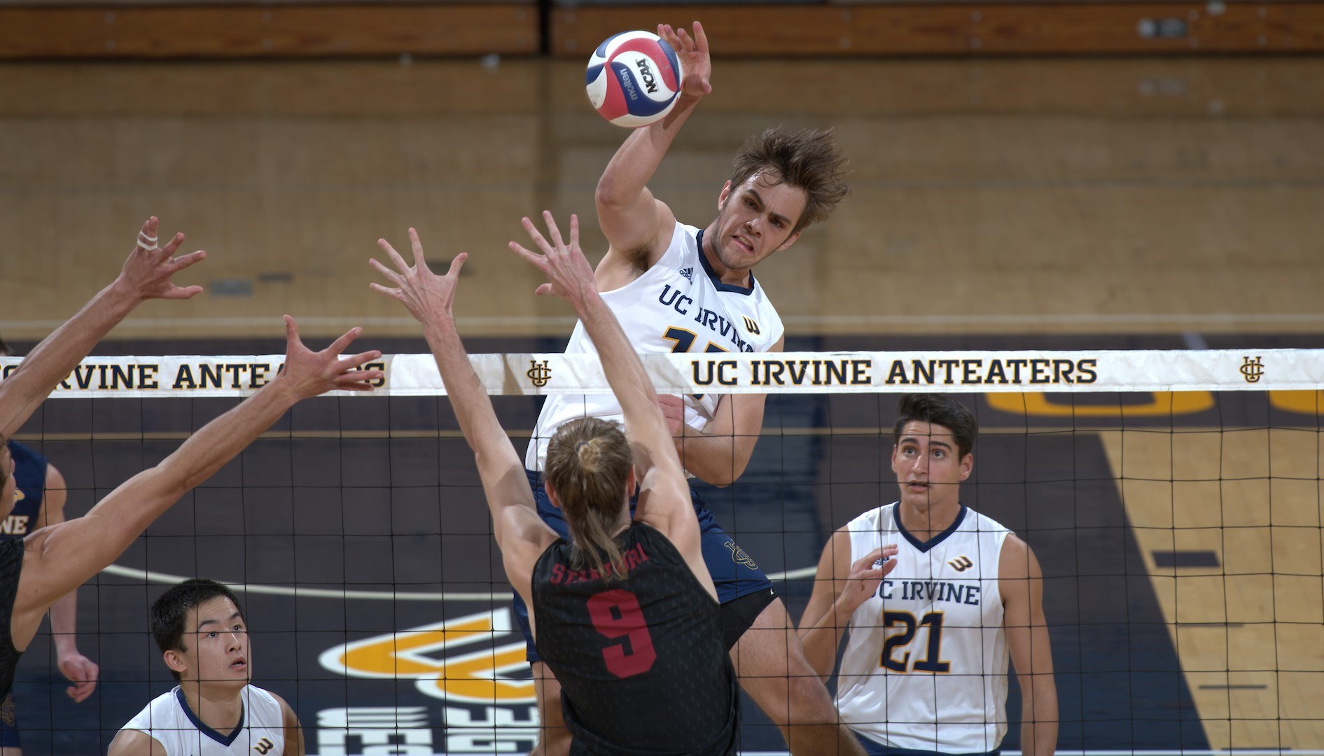 Connor Campbell - Men's Volleyball - UCI Athletics