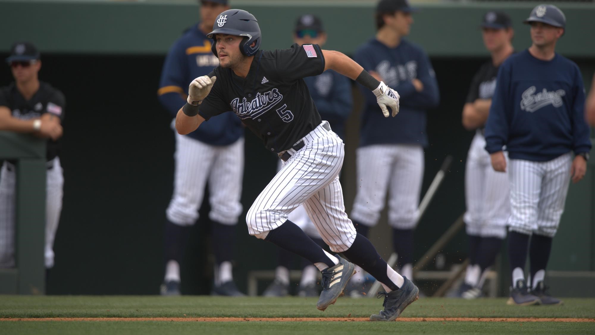 Ben Fitzgerald - Baseball - UCI Athletics