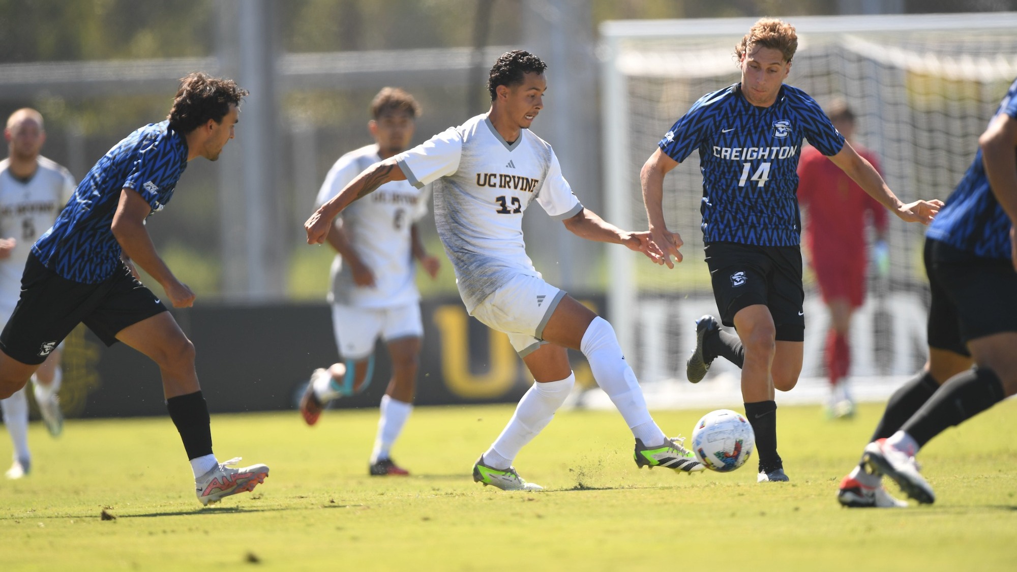 Christian Gomez - Men's Soccer - UCI Athletics