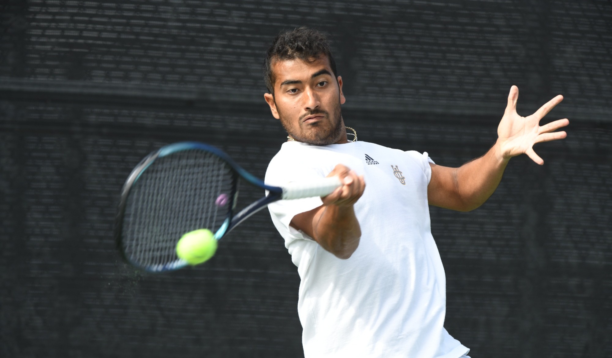 Ali Amiri - Men's Tennis - UCI Athletics