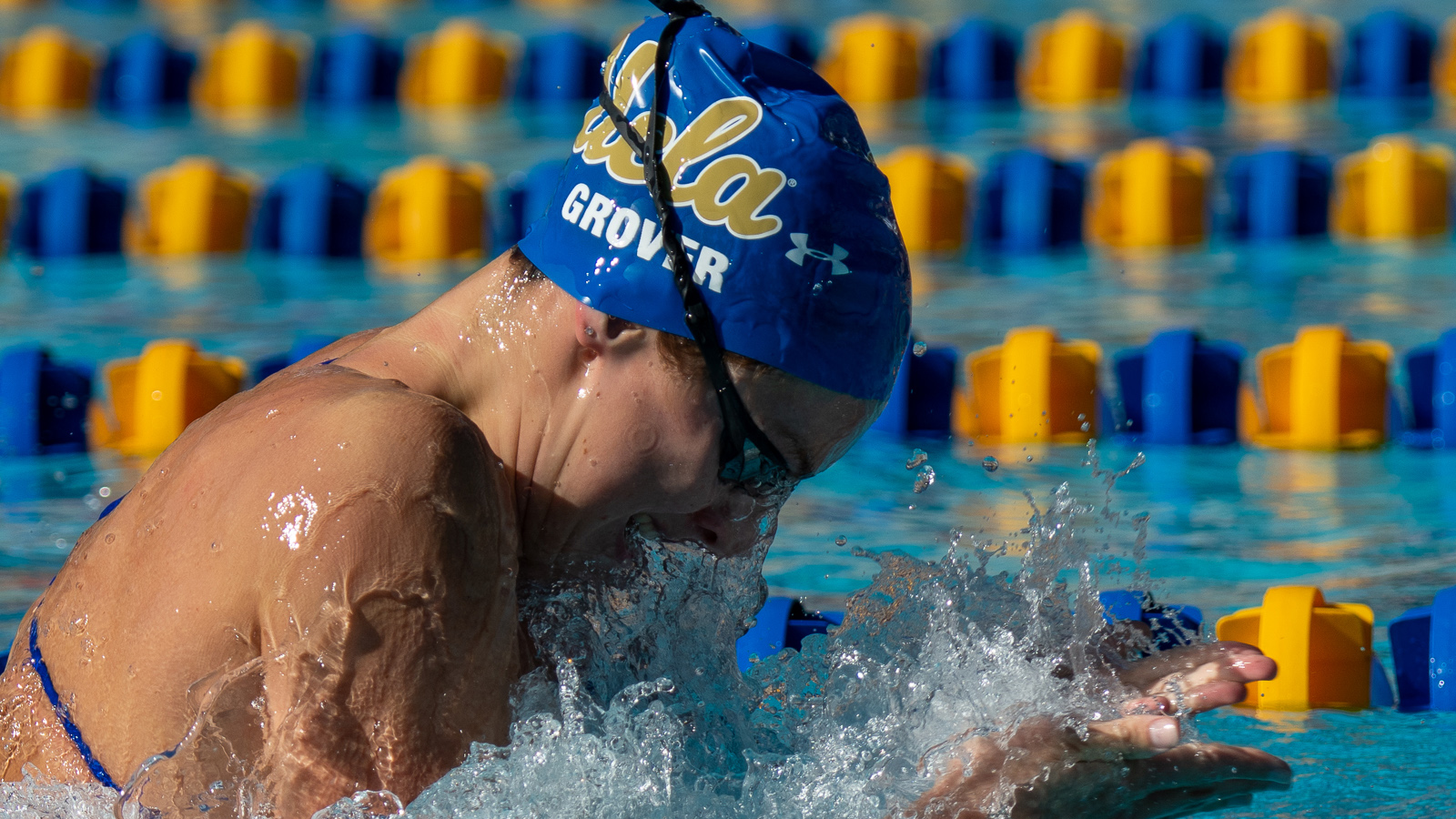 Claire Grover - Swimming & Diving - UCLA