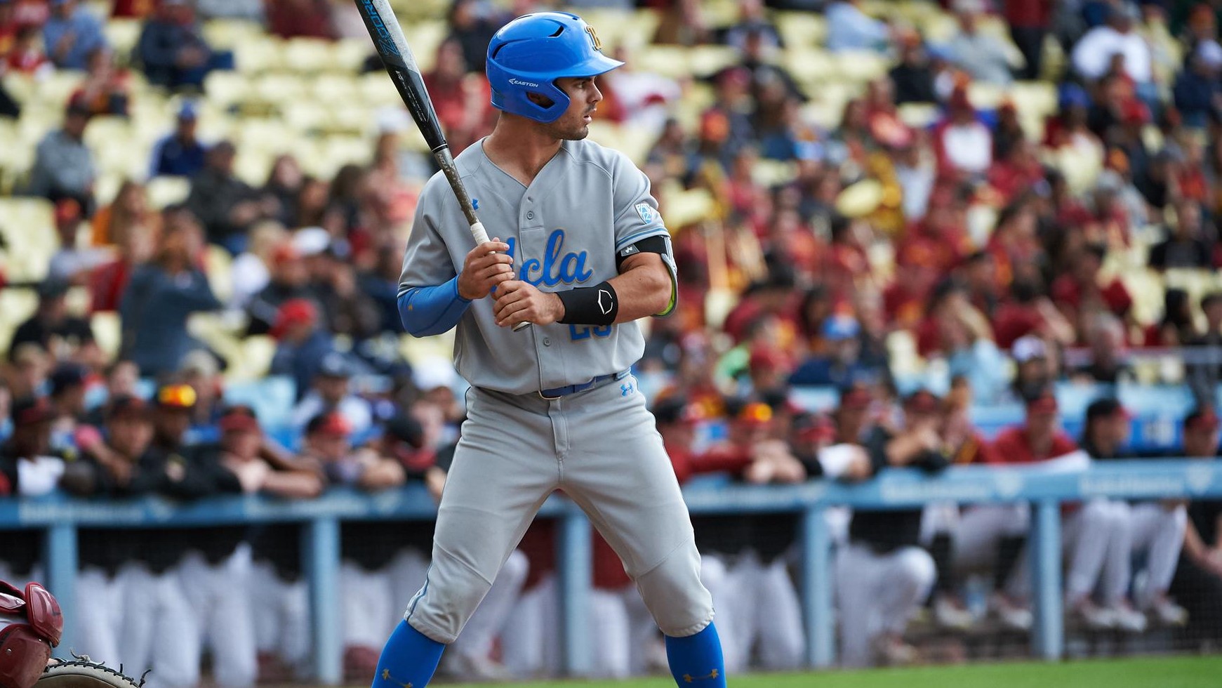 Daniel Amaral - Baseball - UCLA