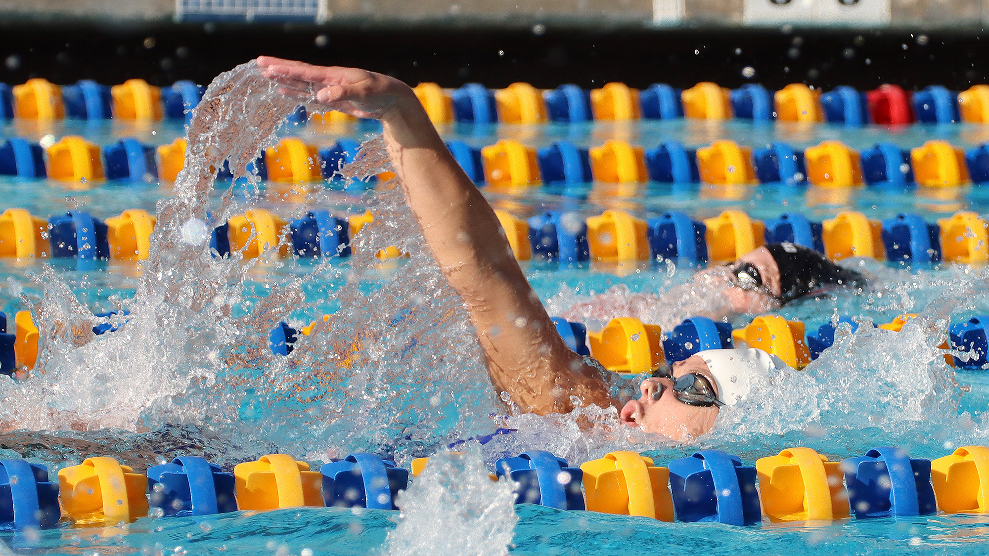 Sophia Kosturos - Swimming & Diving - UCLA