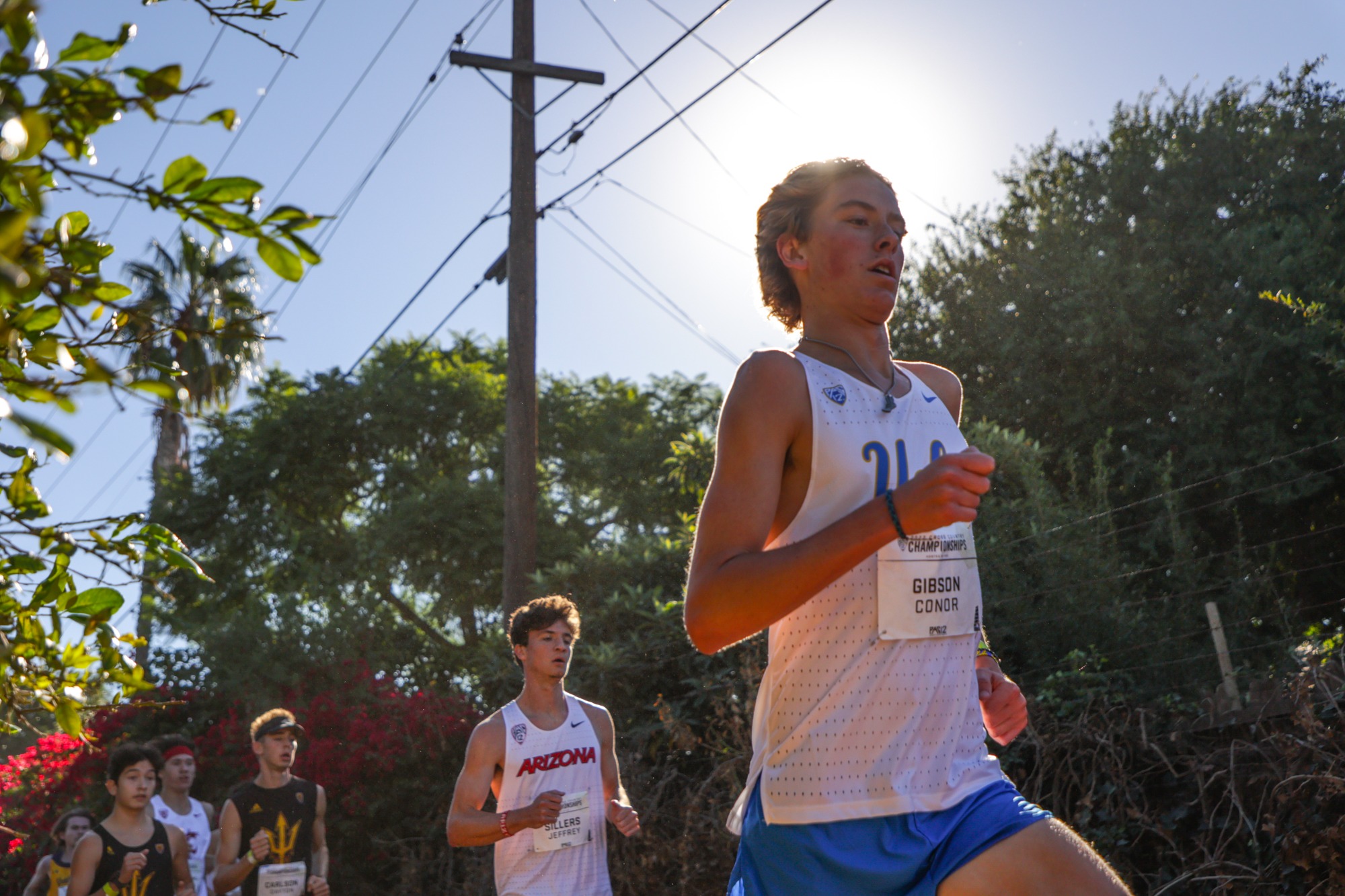 Conor Gibson - Cross Country - UCLA