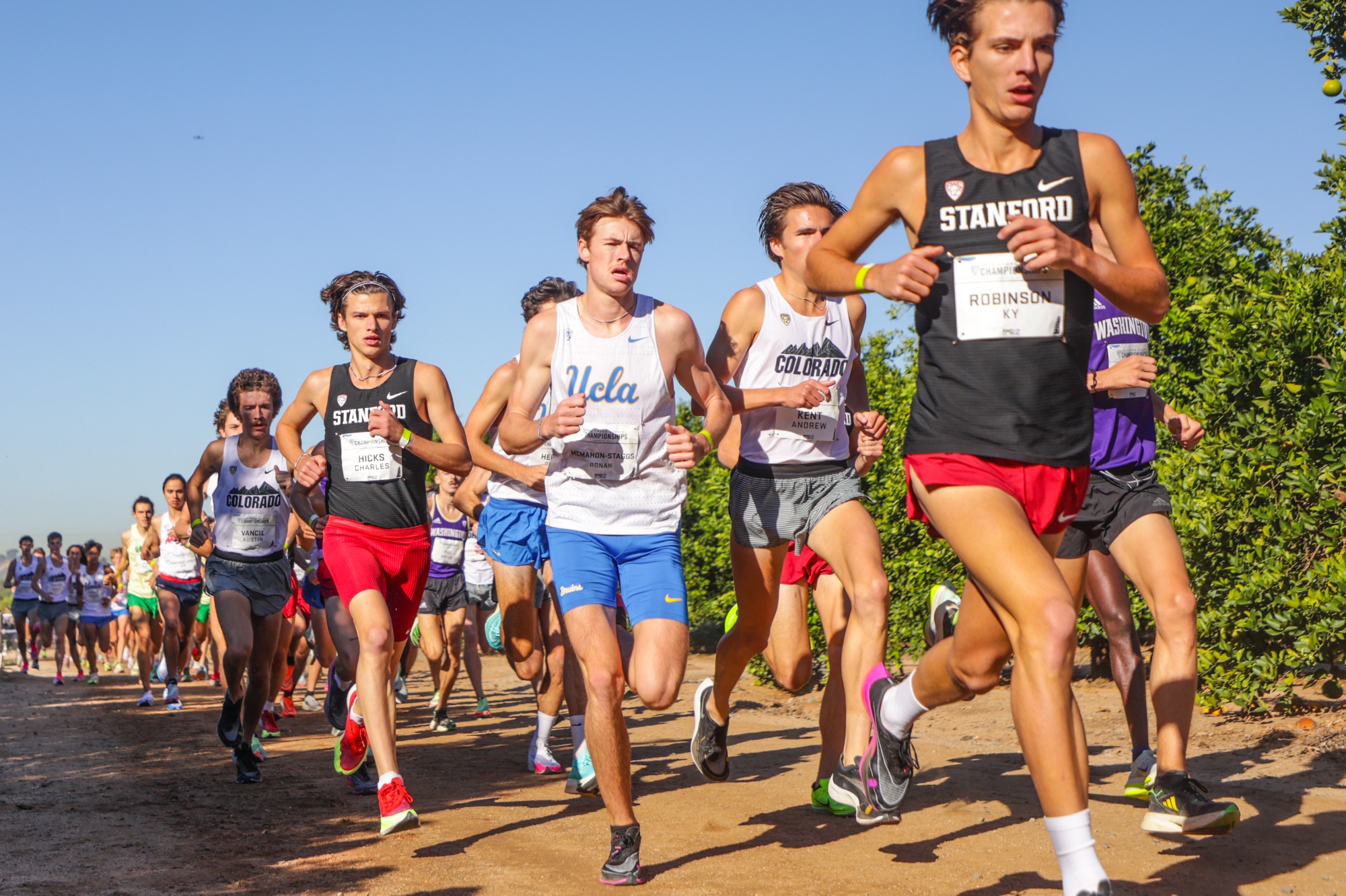 Ronan McMahon-Staggs - Cross Country - UCLA