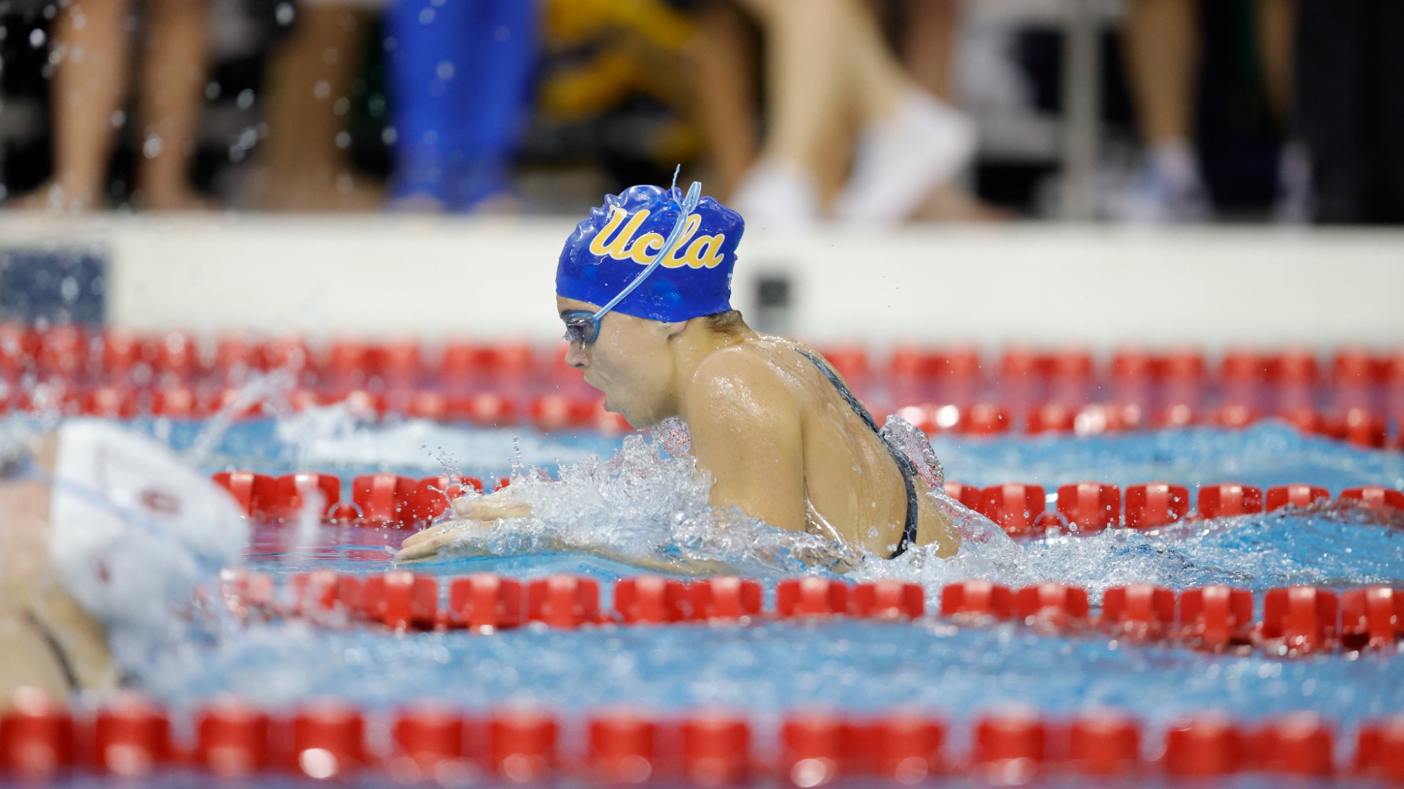 Katrina Sommer - Swimming & Diving - UCLA