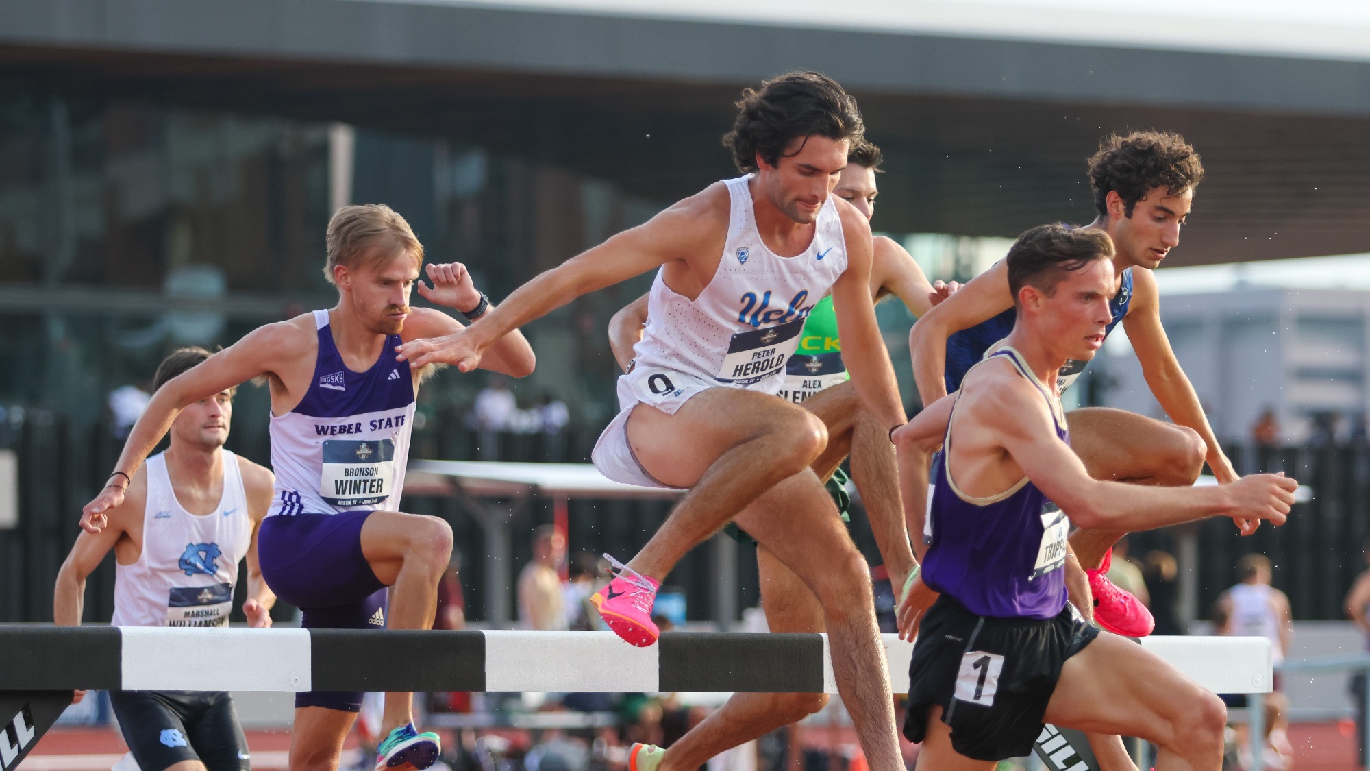 Peter Herold - Track & Field - UCLA