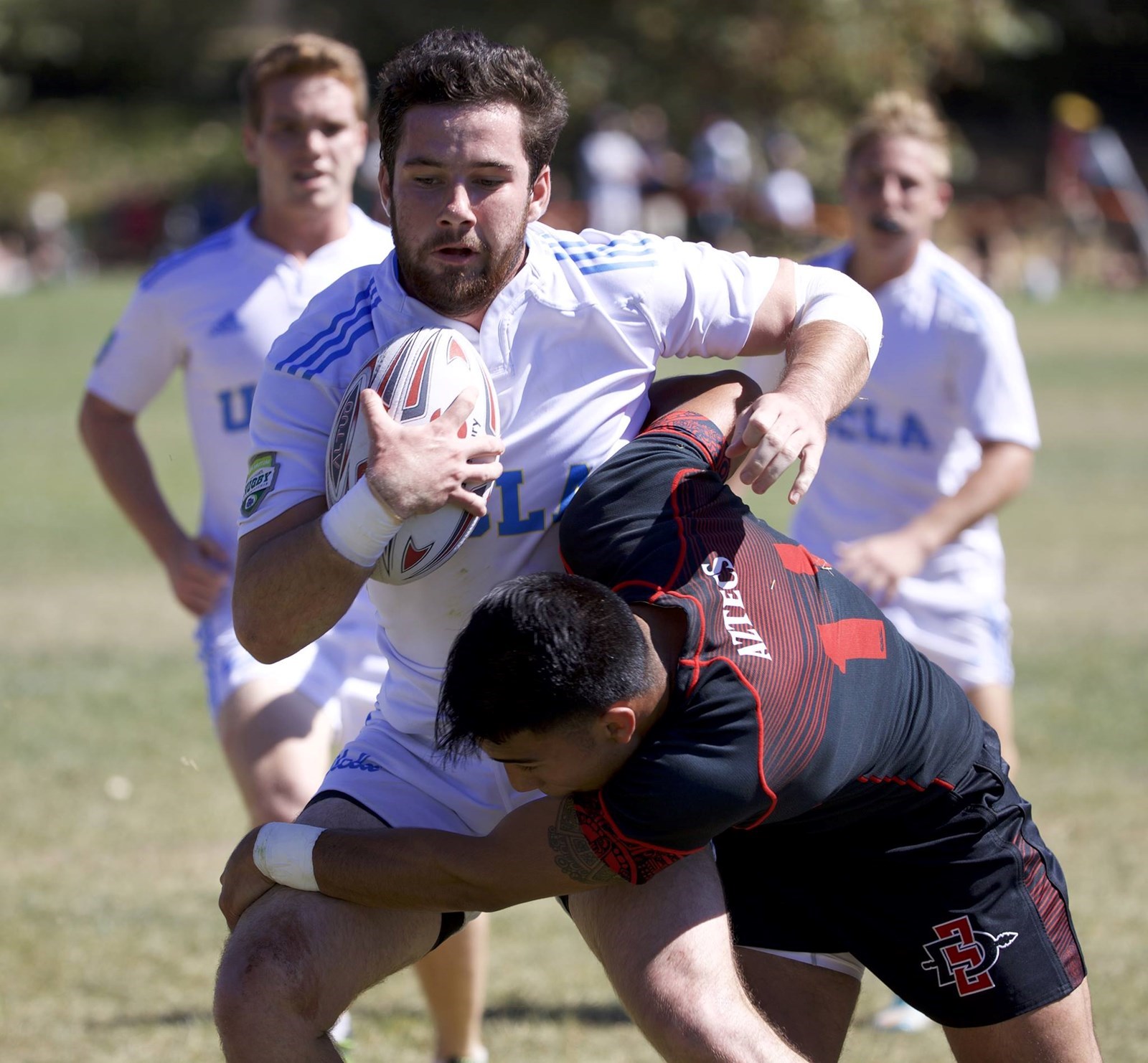 Ryan Bradfield - Men's Rugby - UCLA Club Sports