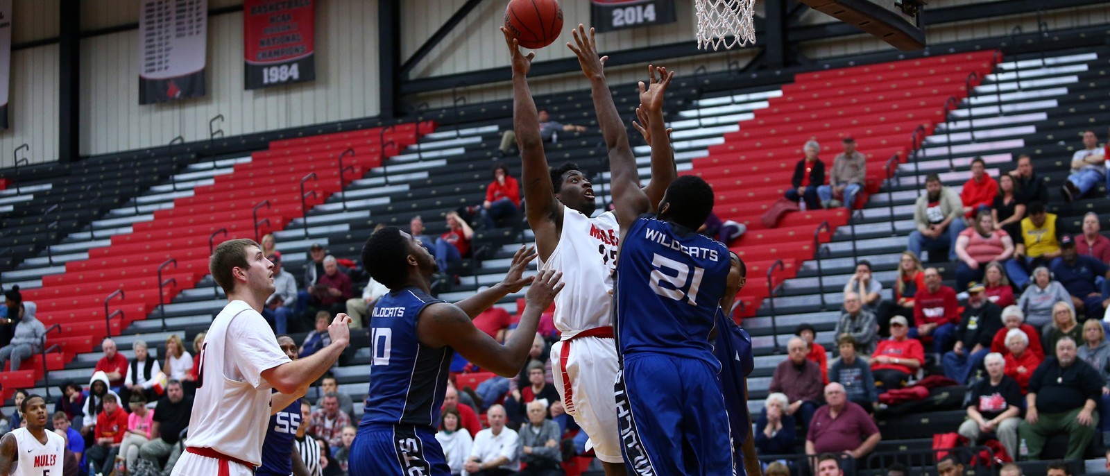 Donte Adams - Men's Basketball - University of Central Missouri Athletics