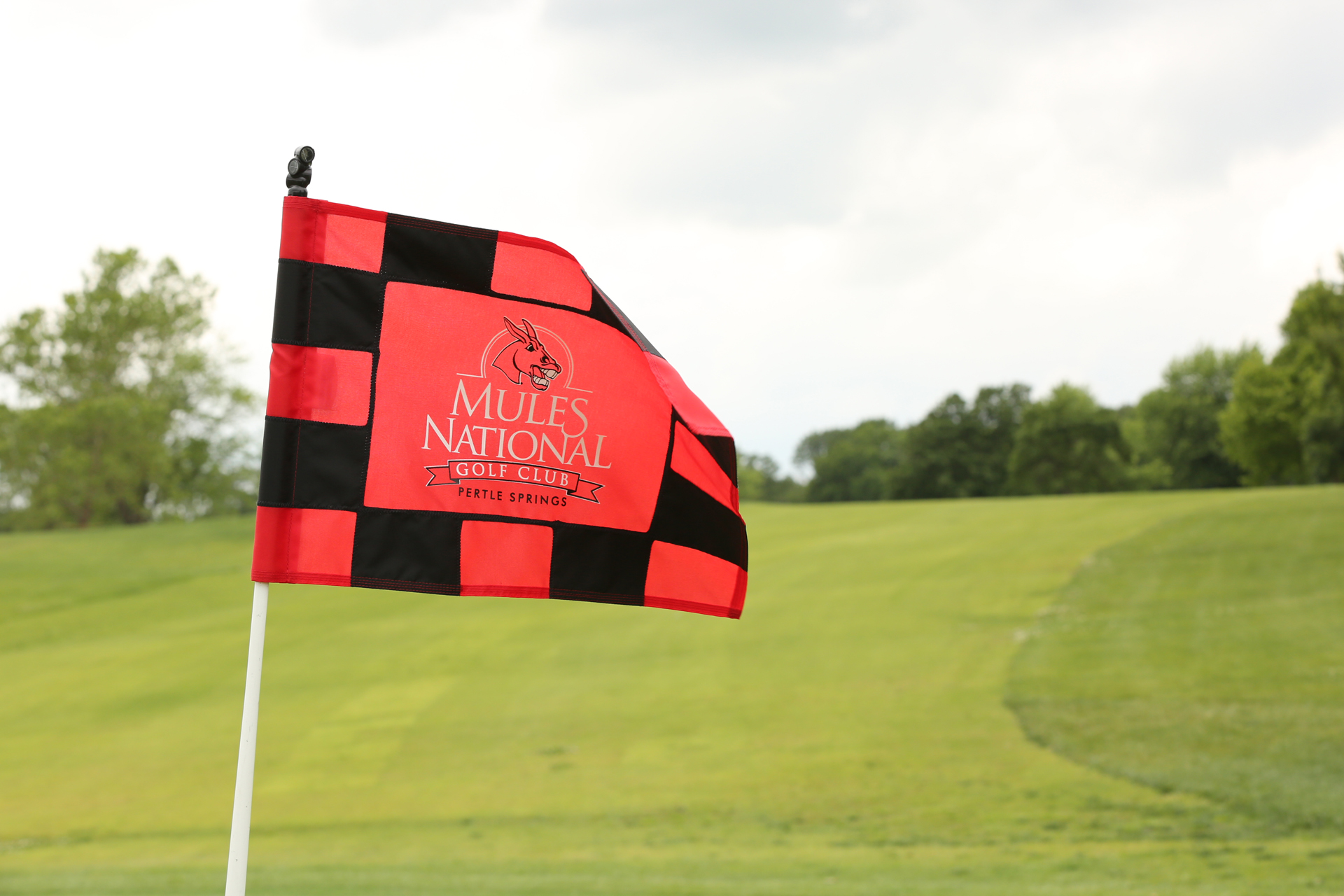 Mules Golf Opens Season with 5th Place Finish at Super Regional Preview ...