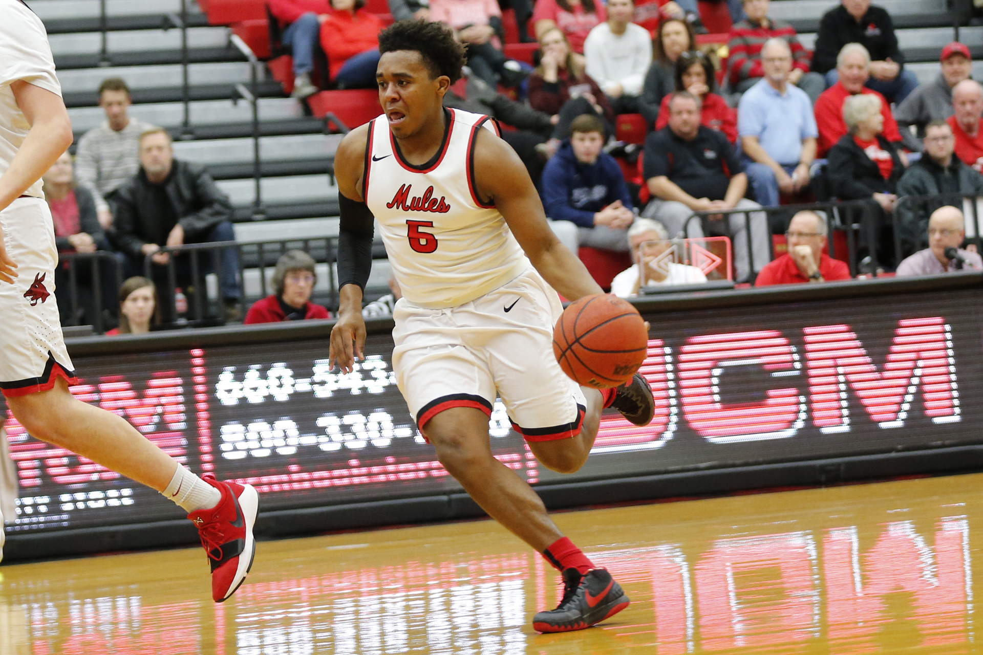 Daniel Farris - Men's Basketball - University of Central Missouri Athletics