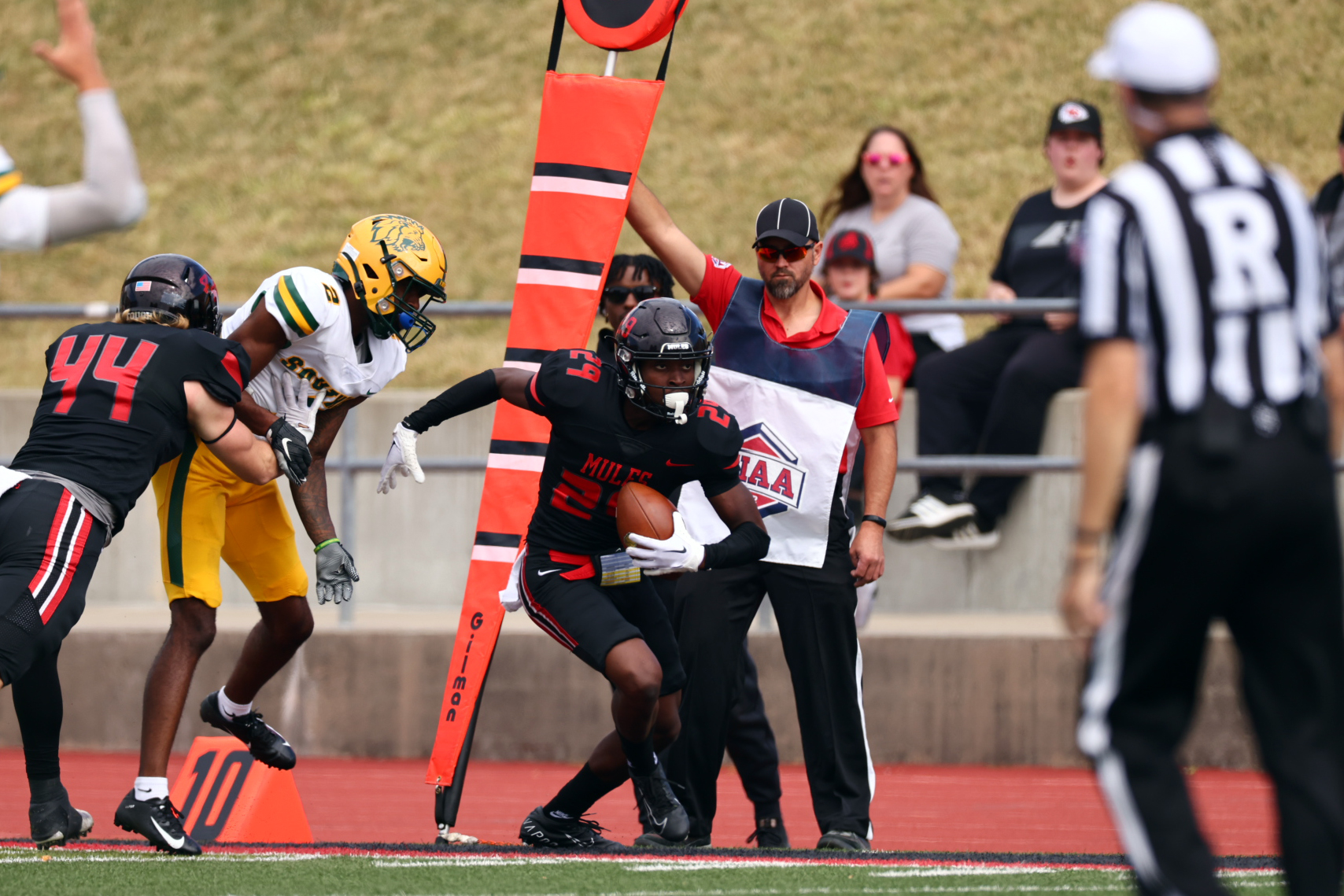 Mules Football Tames Lions in 2022 Homecoming Game, 20-17 - University ...