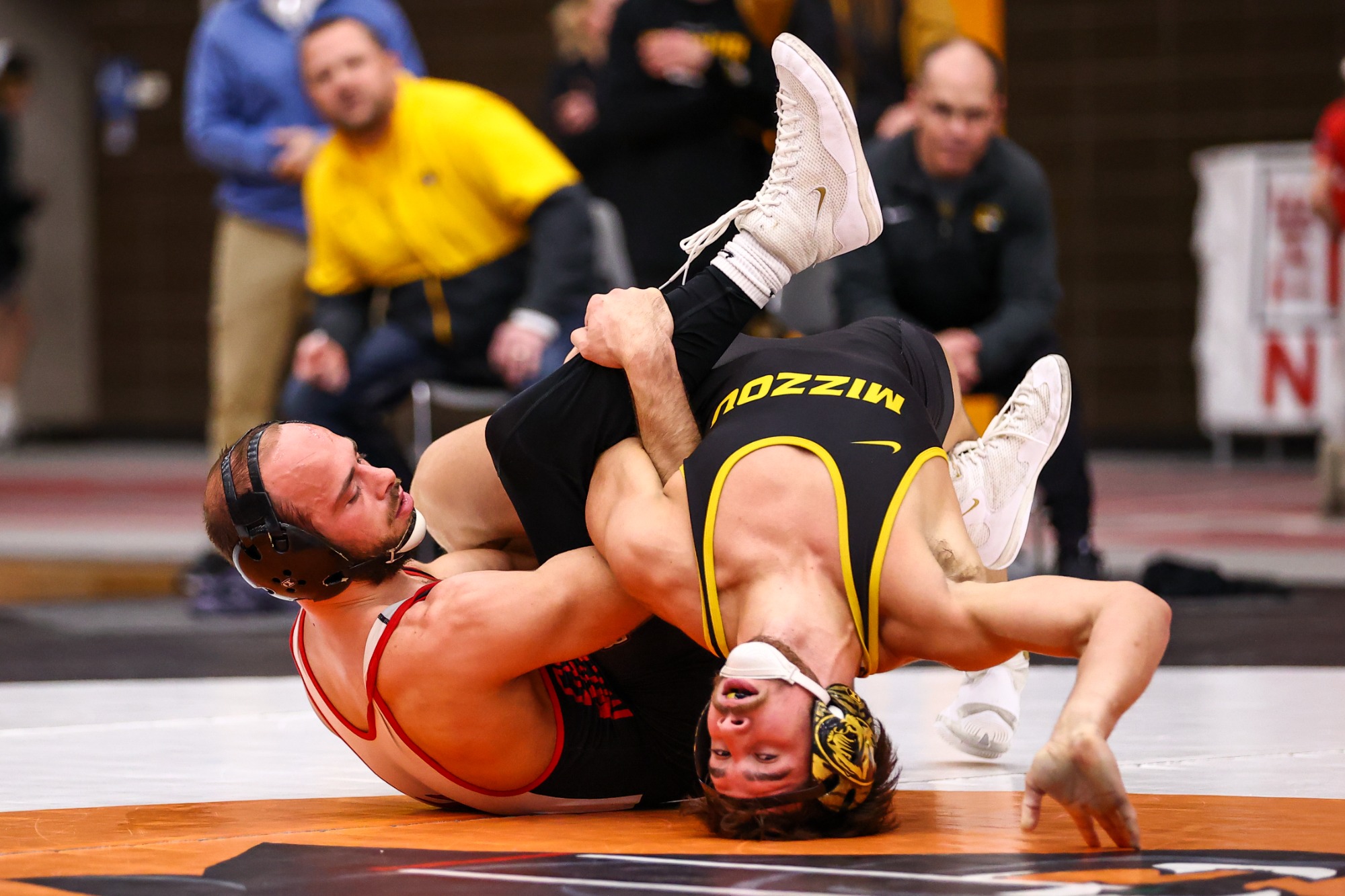 Frezza, Lapaglia to Represent Mules Wrestling at NCAA-II Championships ...