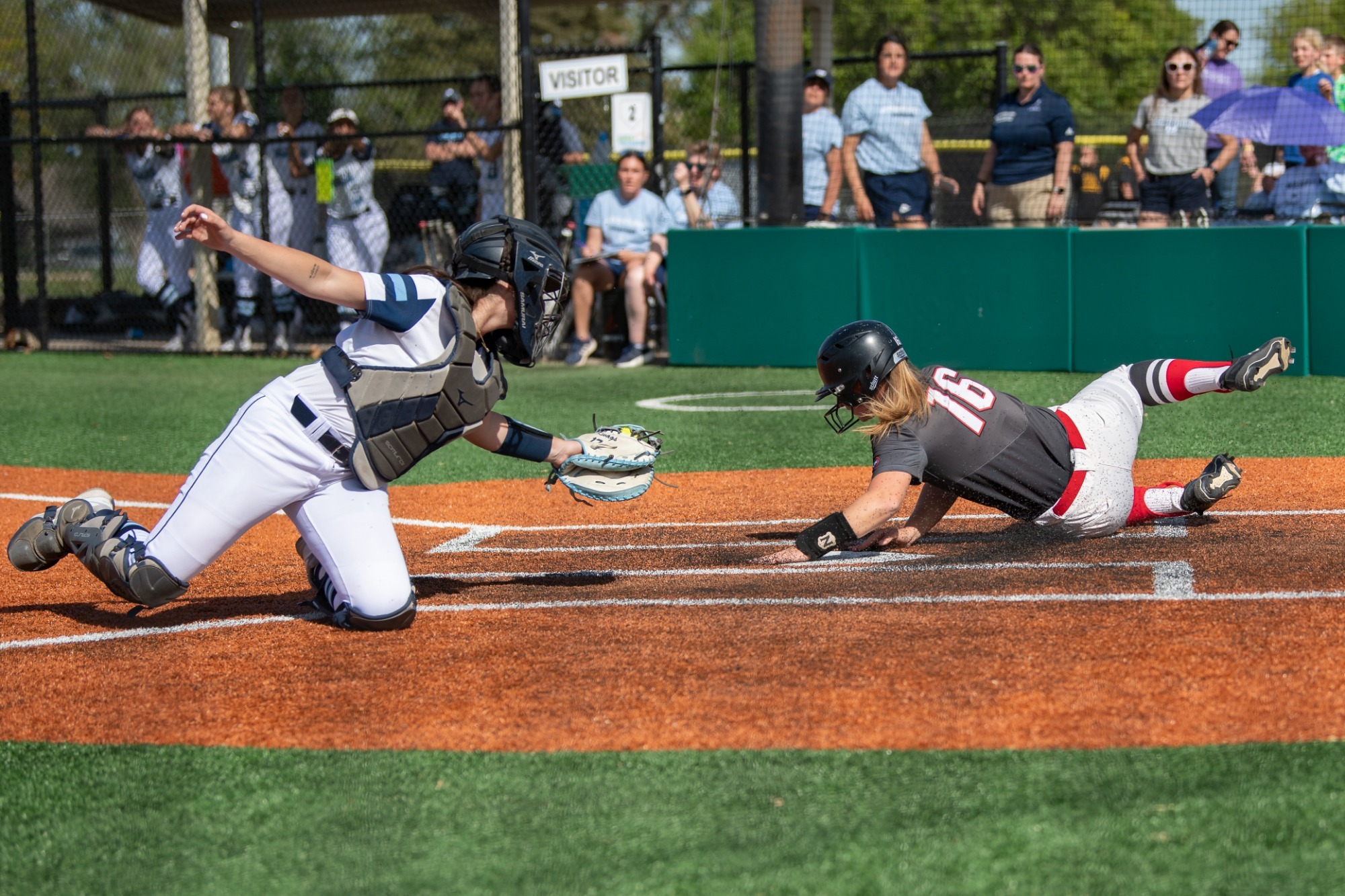 Jennies Softball Defeats Washburn 5-2 in Opening Round of MIAA Softball ...