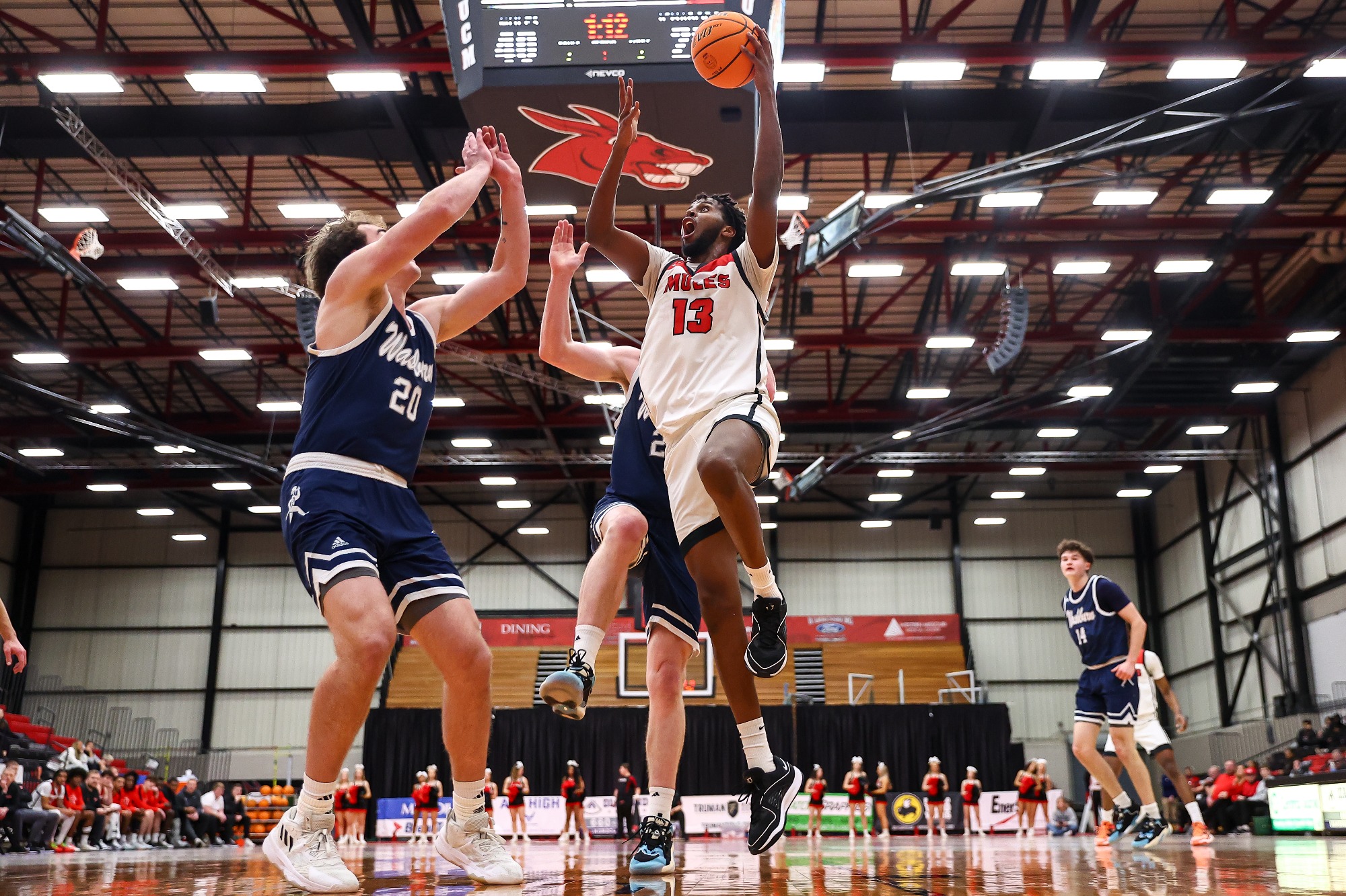 Mules Basketball Turns Back No. 22 Missouri Western Saturday, 68-60 ...