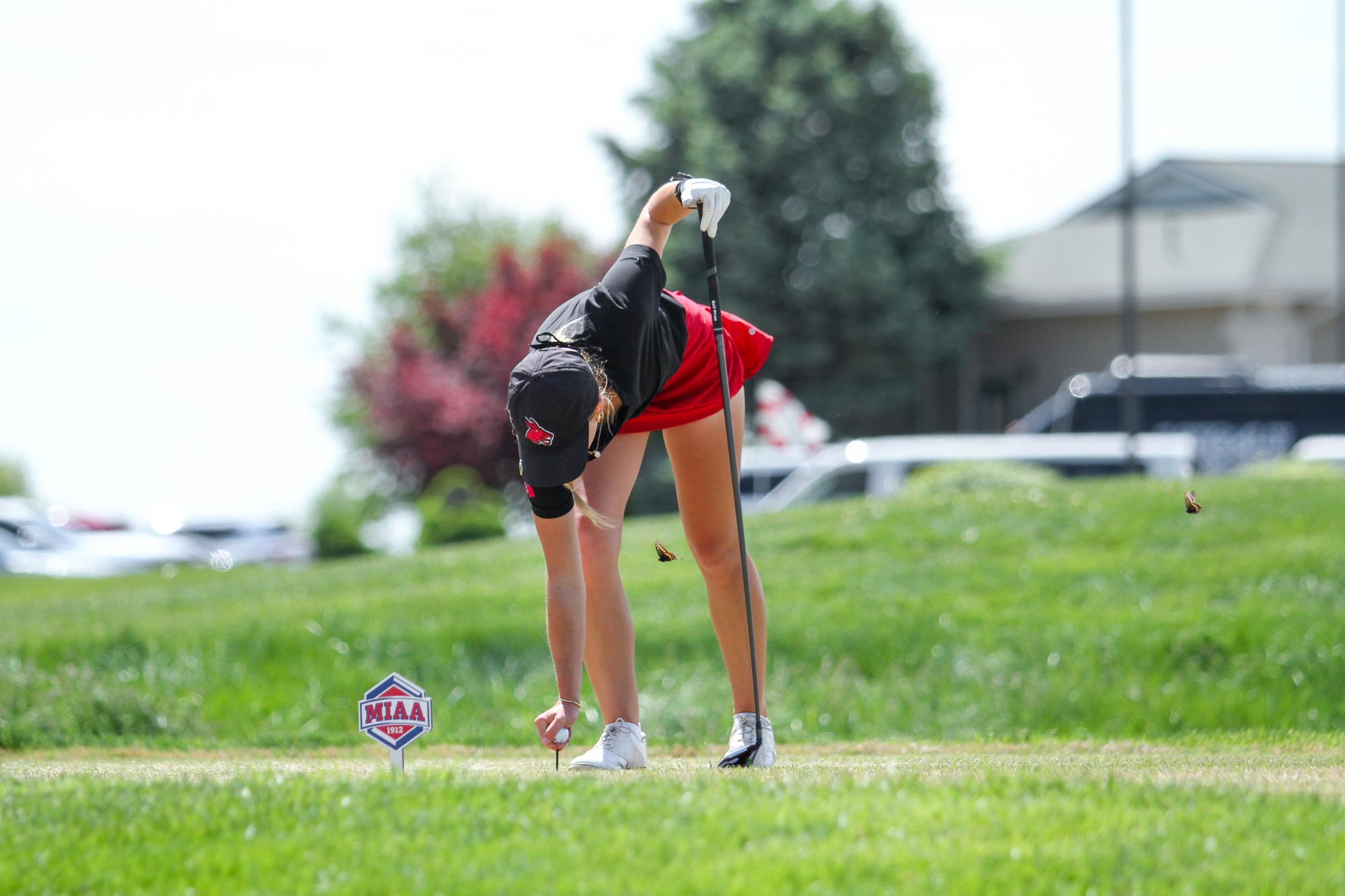 No. 12 Jennies Golf Tabs NCAA-II Central Regional Championship Berth ...