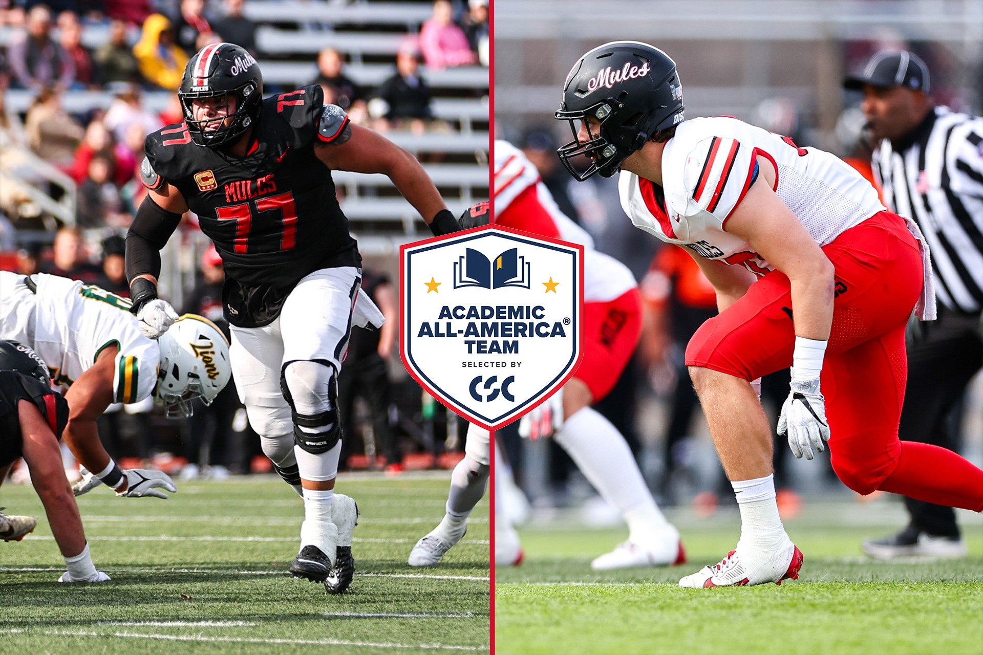 Back-to-Back: Zach Zebrowski Wins Second Consecutive Harlon Hill Trophy ...