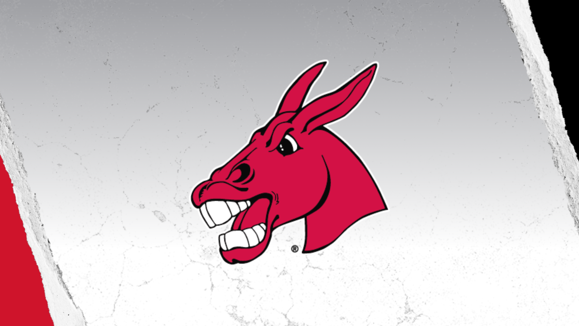 MIAA Announces 2024-25 Network Subscriptions and New Premium Event ...