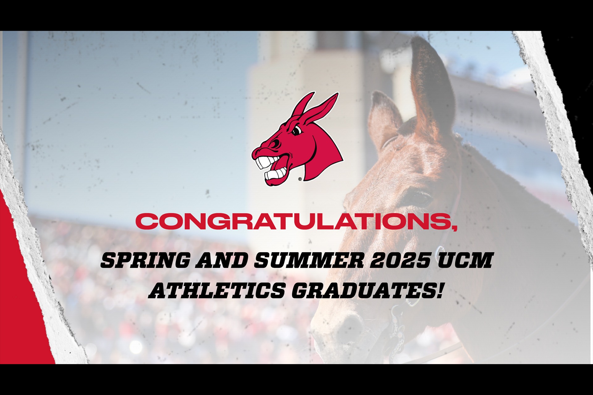 MIAA Announces 2024-25 Network Subscriptions and New Premium Event ...