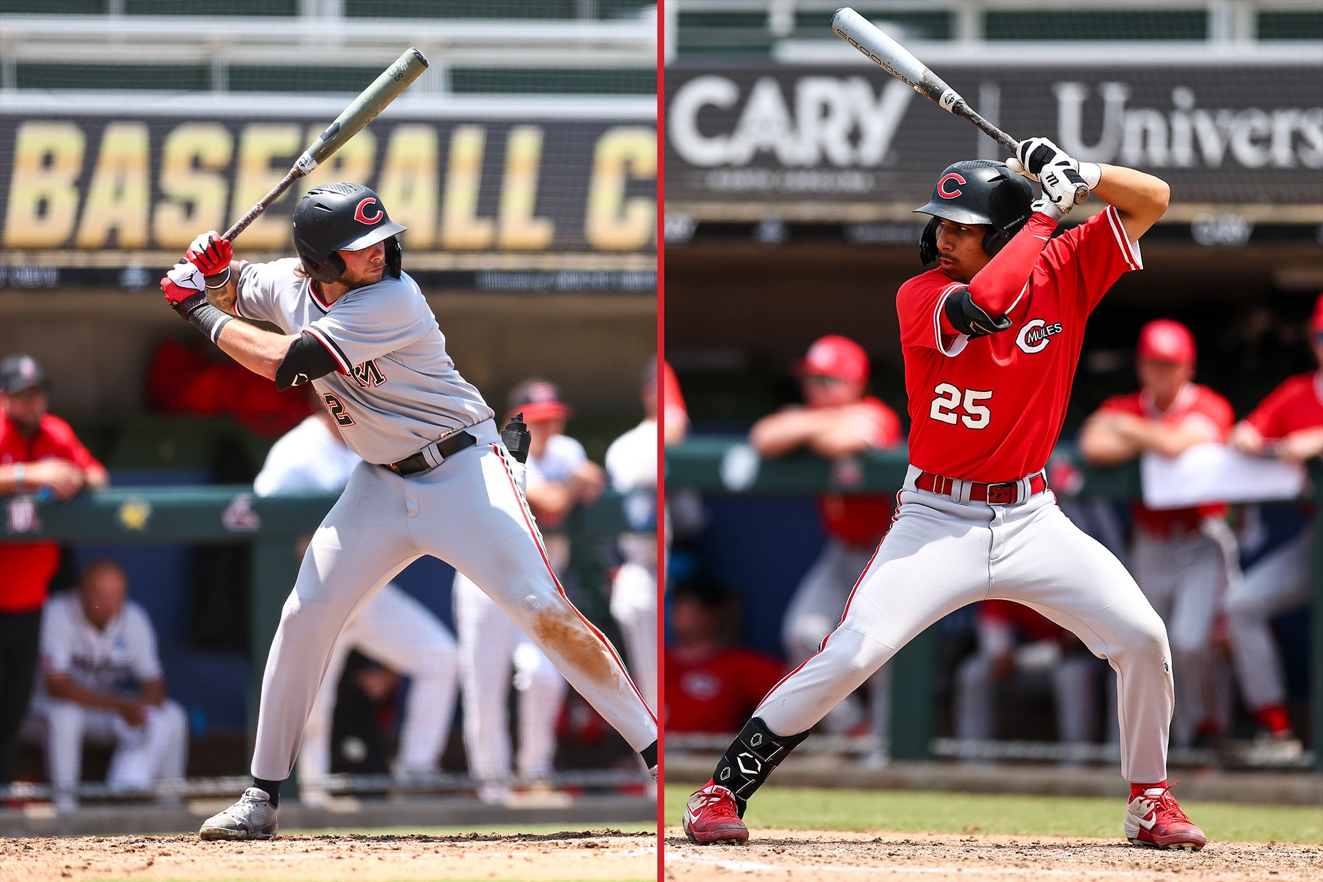 No. 1 Mules Face No. 5 Indiana University (Pa.) in NCAA-II World Series ...