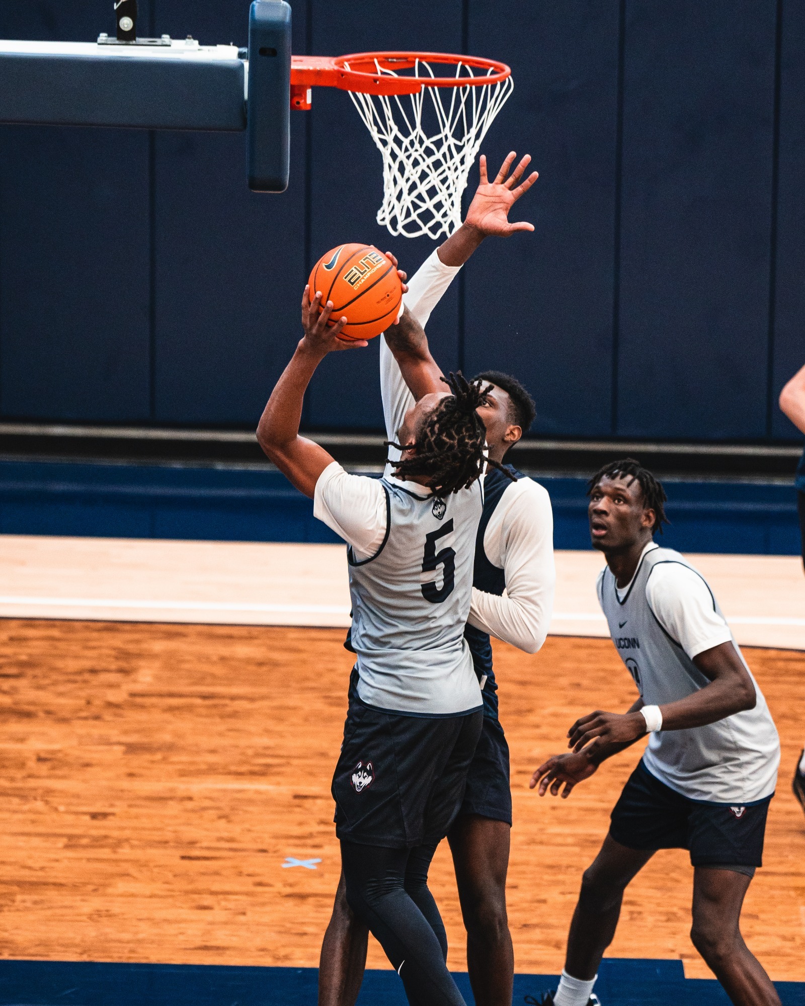 Stephon Castle - Men's Basketball - University of Connecticut Athletics